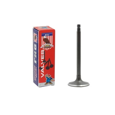DNJ IV3104A Intake Valves Set Fits Cars & Trucks 94-02 Chevrolet GMC 4 ...