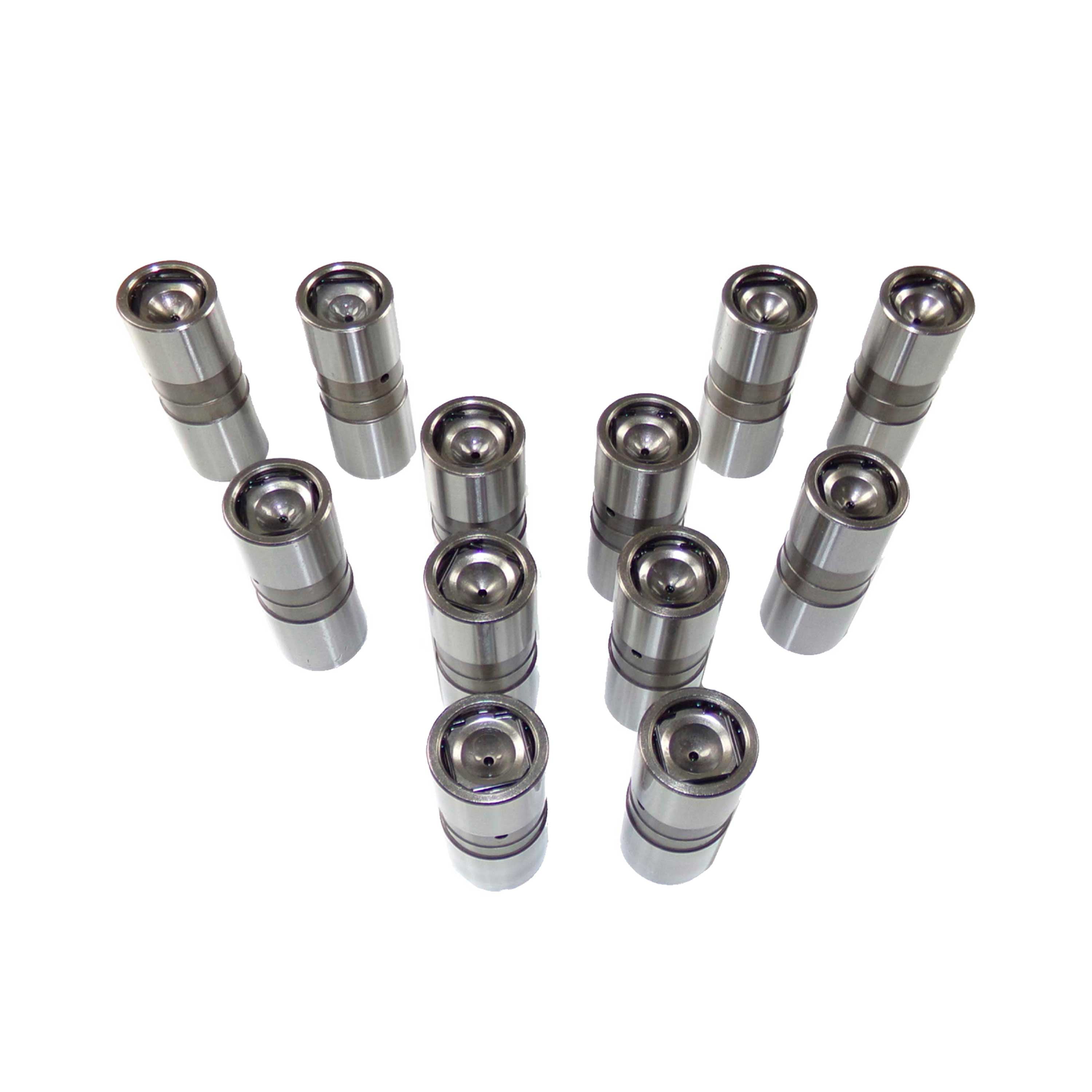 DNJ Valve Lifter Kit, Fits Chevrolet GMC Isuzu 85-95 Cars Trucks, 2.8L ...