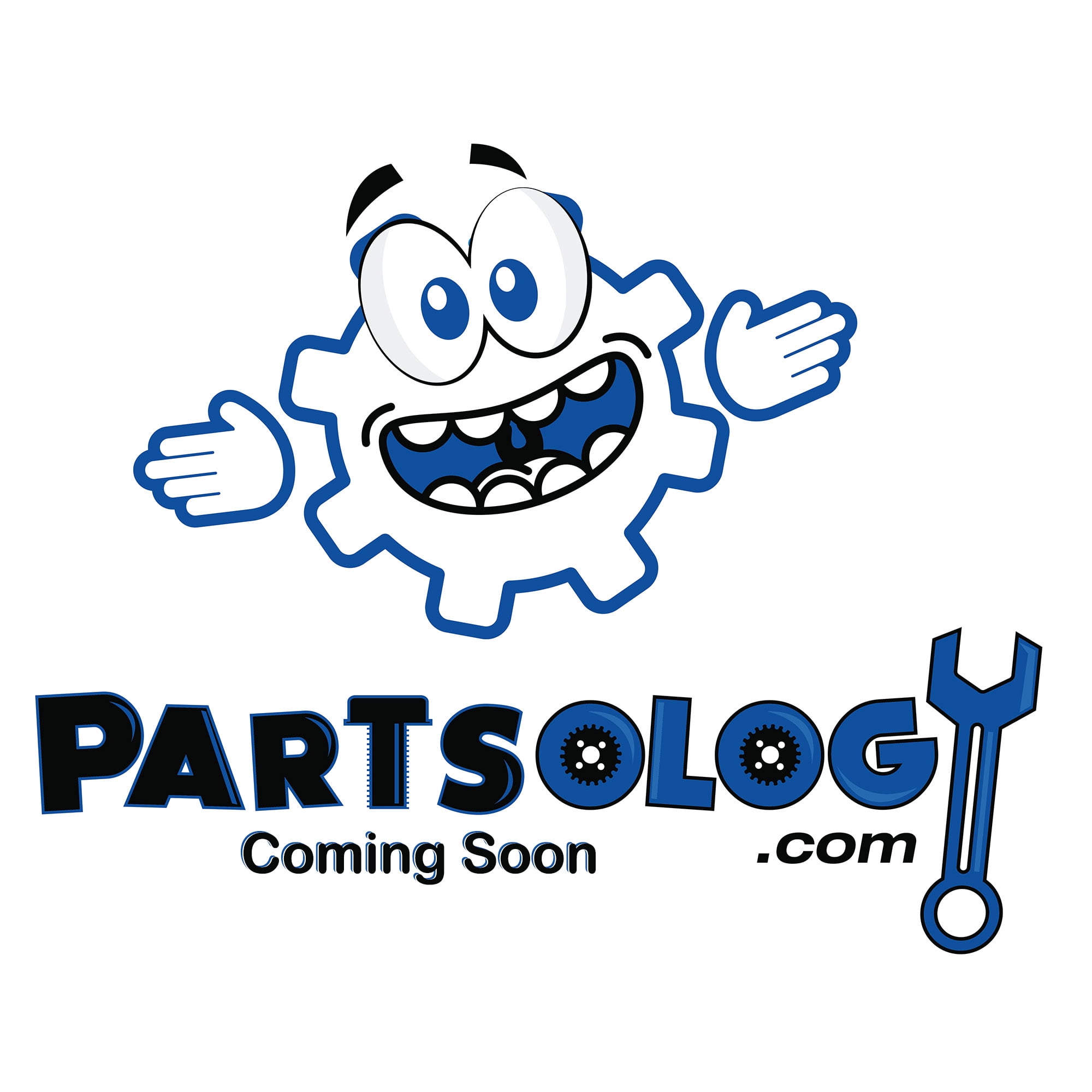 DNJ TK4365 Timing Chain Kit Fits Cars & Trucks 14-15 Mitsubishi Mirage ...