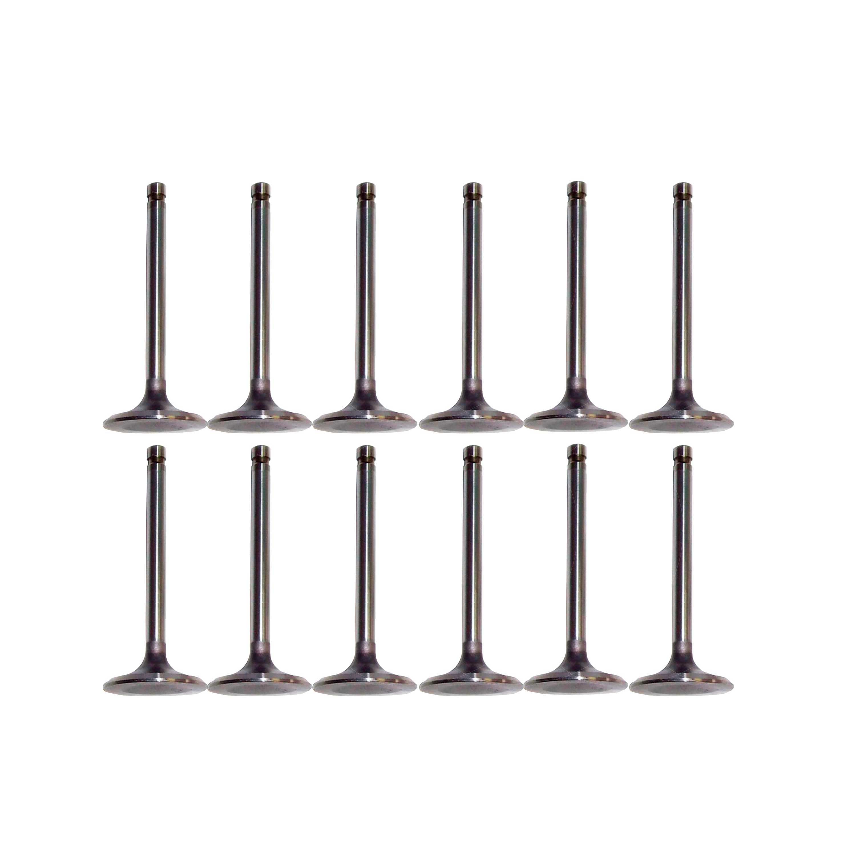 DNJ VK12421 Exhaust Intake Valve Kit Fits Cars & Trucks 1986 to 1992 ...