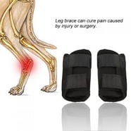 LYUMO 1 Pair Dog Front Leg Braces Stabilizer Neoprene Front Leg ...