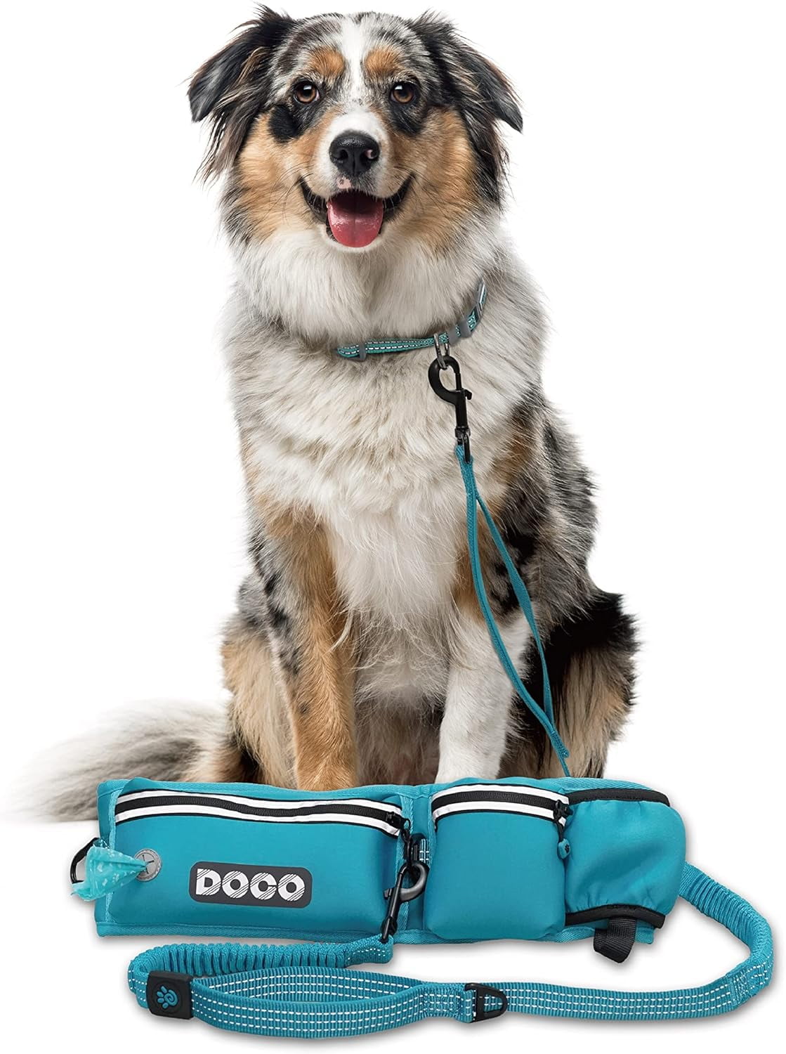 DOCO Hands Free Dog Leash (Waist 26”- 48”, Leash- 1”x 5ft) Waist Belt ...