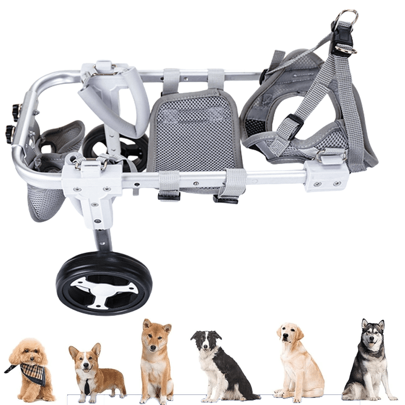 DOCRELD Dog Wheel Chair, 2/4 Wheel Front Back Wheels Dog Mobility Aid ...
