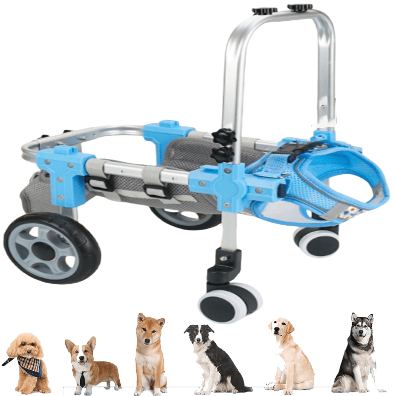 DOCRELD Dog Wheel Chair, 2/4 Wheel Front Back Wheels Dog Mobility Aid ...