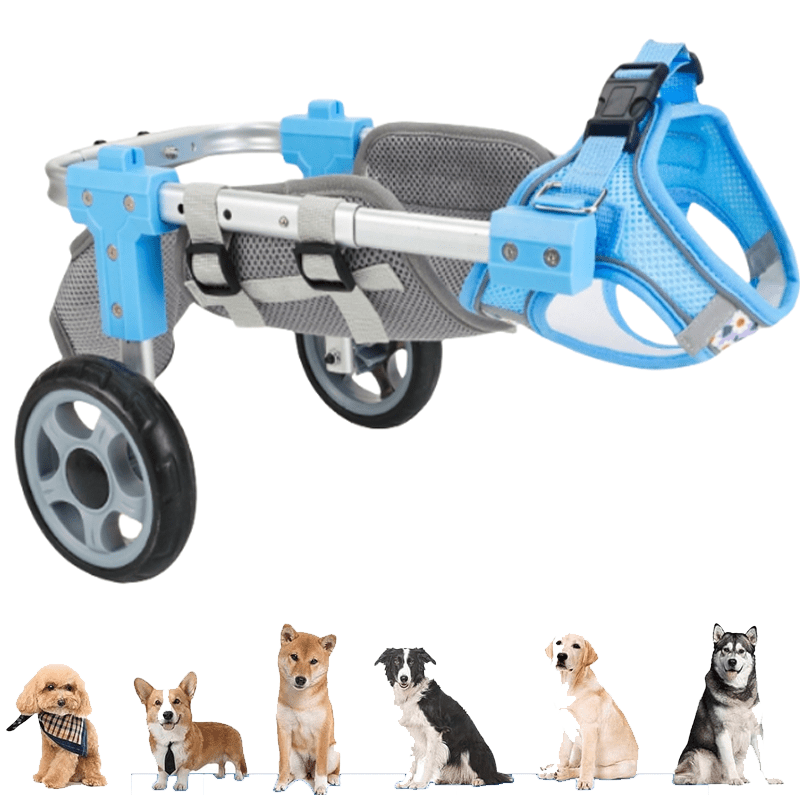 DOCRELD Dog Wheel Chair, 2/4 Wheel Front Back Wheels Dog Mobility Aid ...