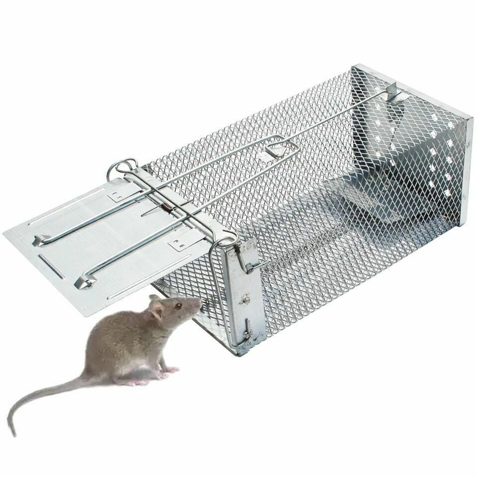 DODOING Mouse Trap Cage,10.8"x 5.7"x 4.7" Rat Trap Cage Small Live ...