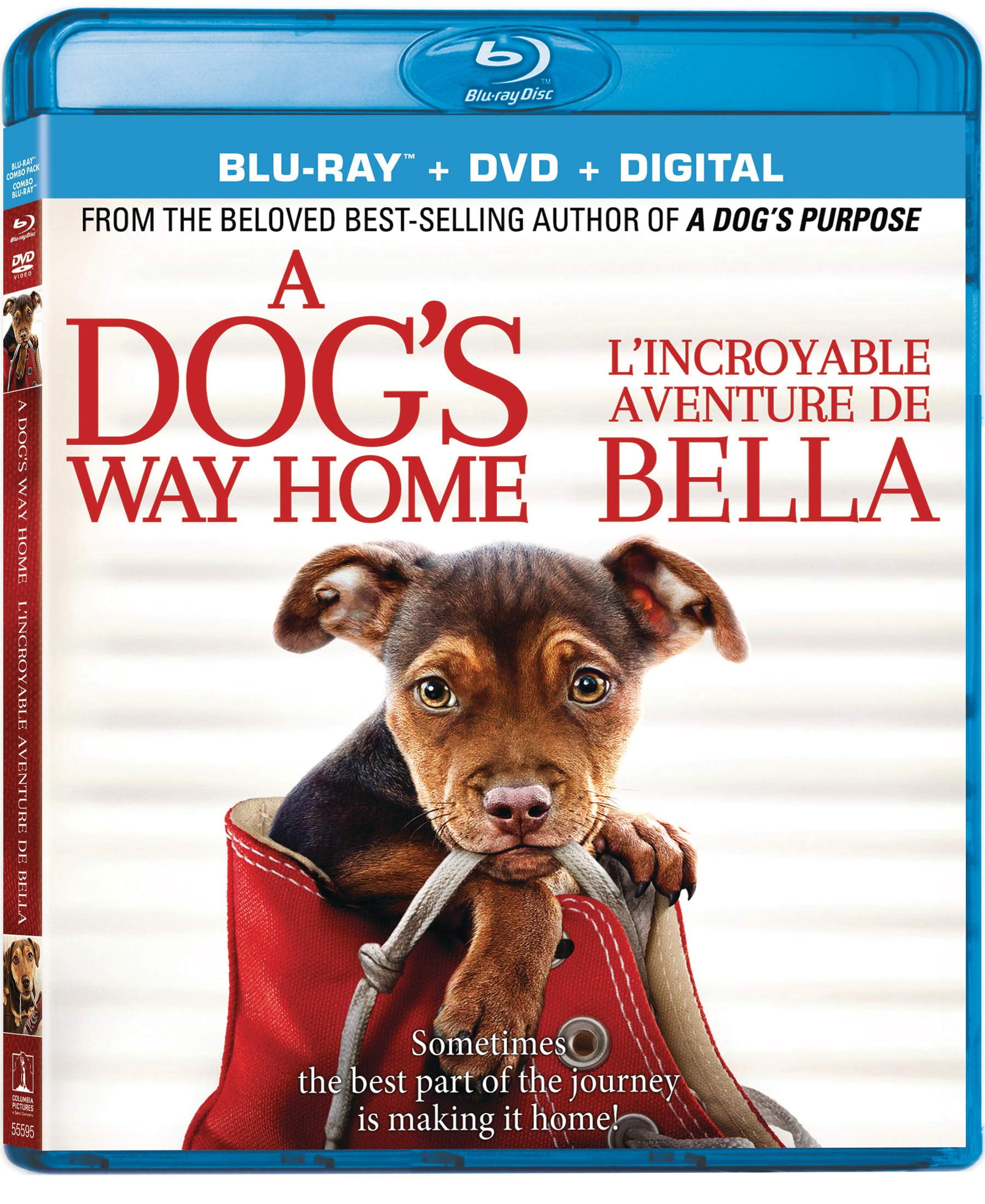 A Dog's Way Home (Blu-ray) - Walmart.com