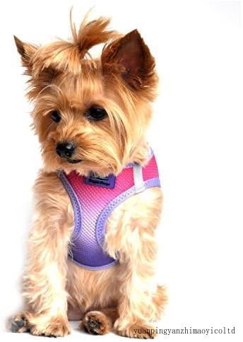 DOGGIE DESIGN Dog Harness Ombre Collection - Raspberry Sundae - Walmart.com