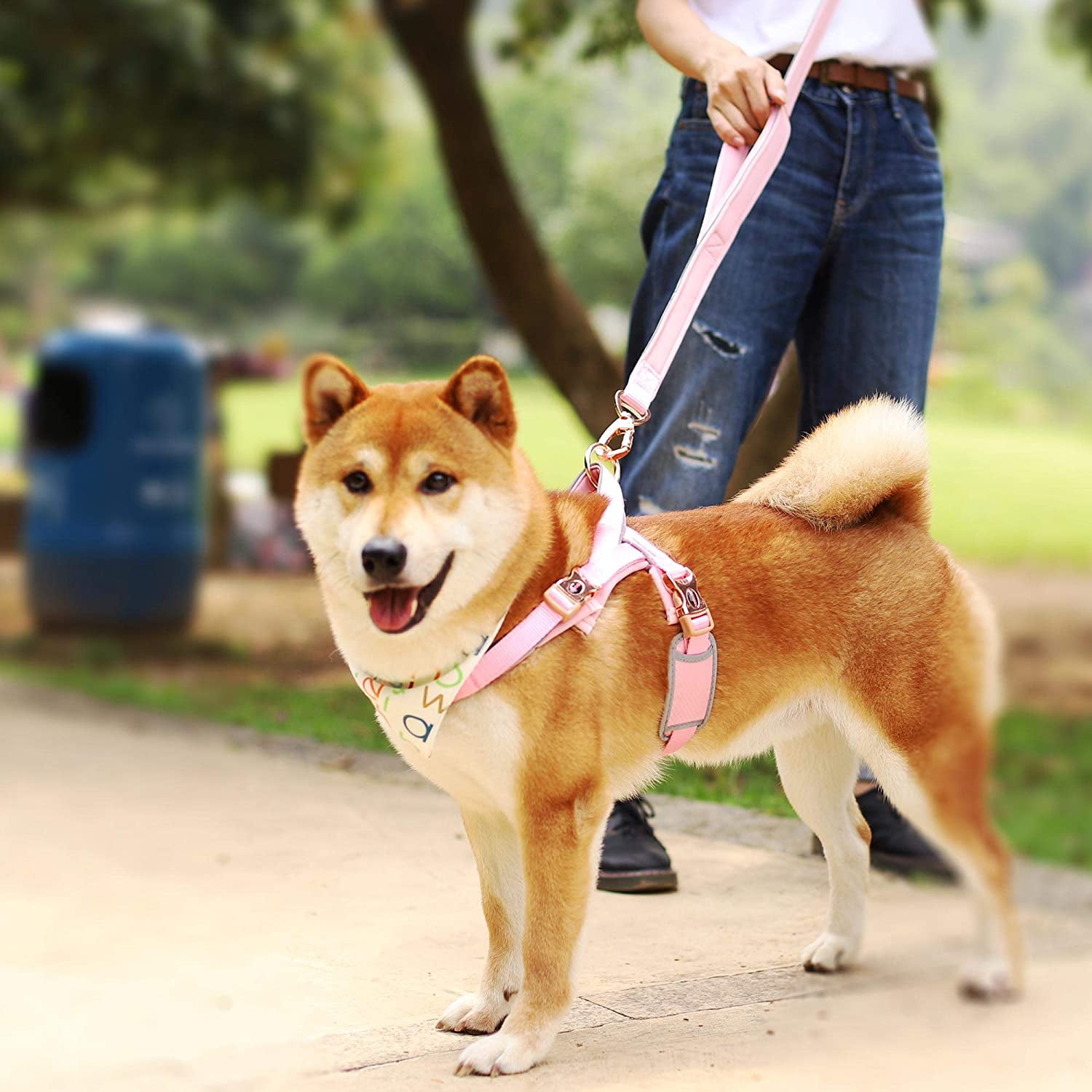 DOGNESS Classic Double Handle Dog Leash, Heavy Duty Soft Padded ...