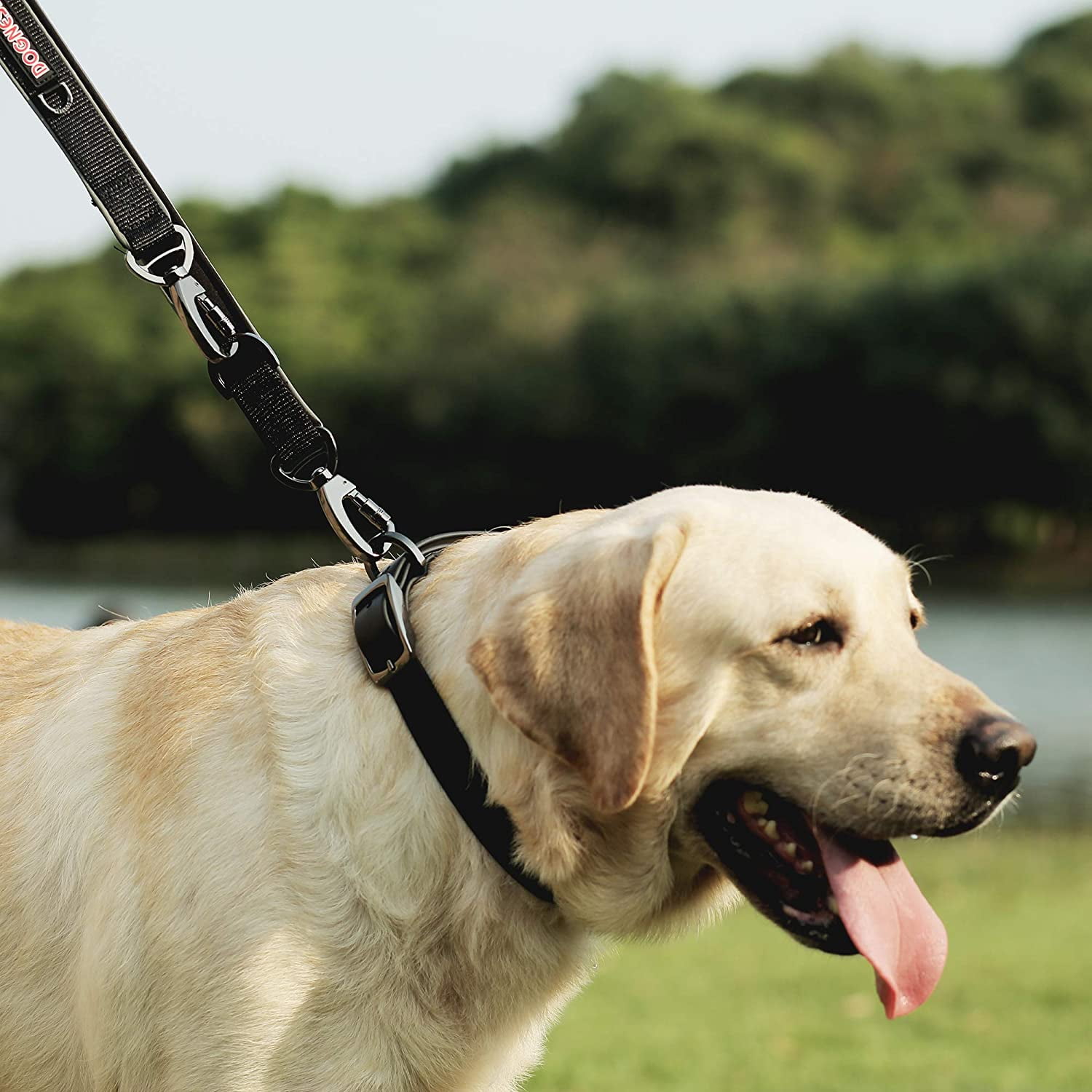DOGNESS Classic Double Handle Dog Leash, Heavy Duty Soft Padded ...