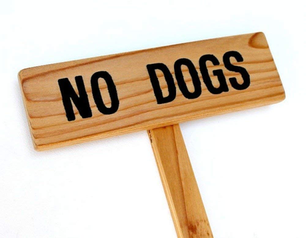 DOGS Sign, Warning Sign, Privacy Marker, Dog Signage, Custom Sign ...