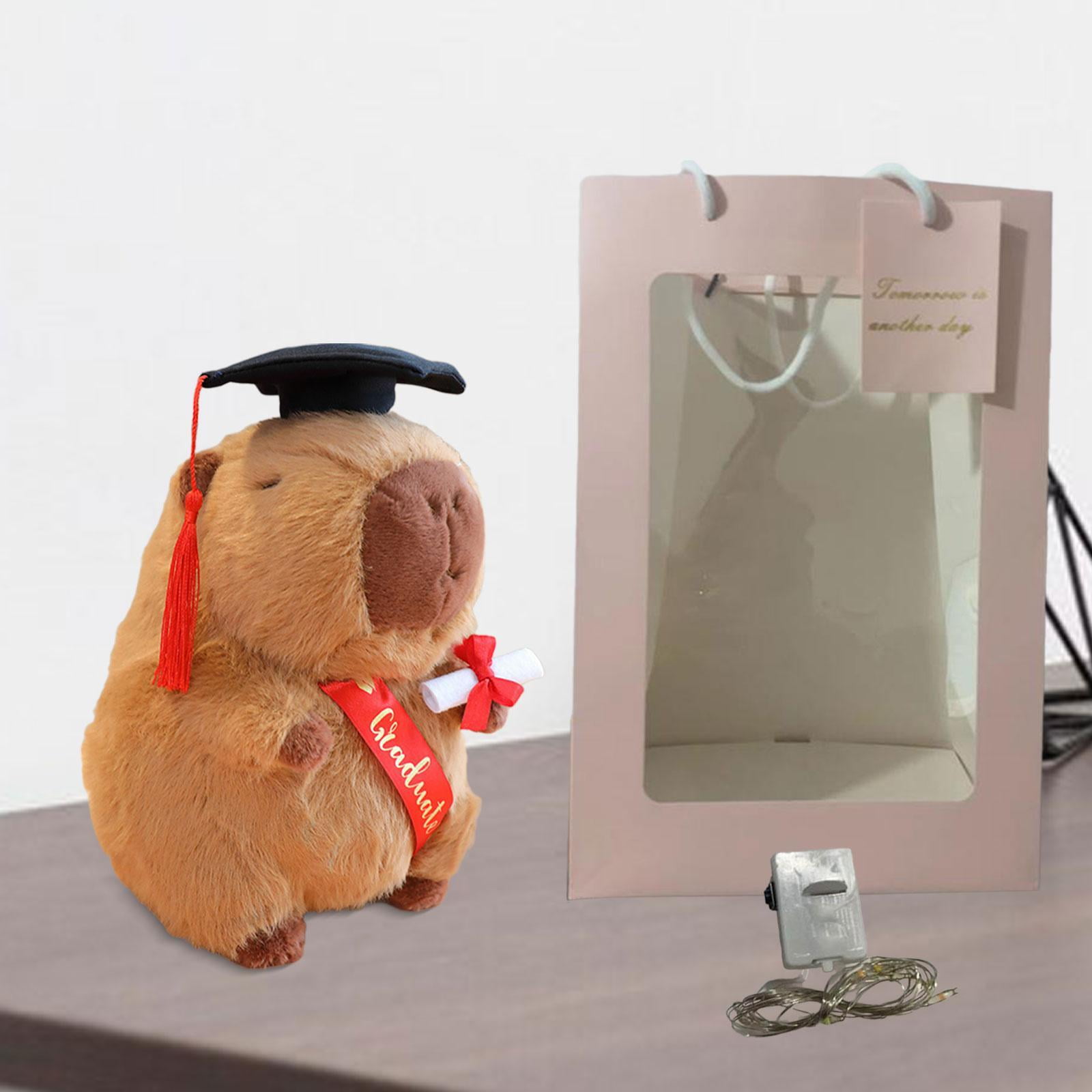 DOLITY Capybara Stuffed Animal Graduation Gift Party Favors Festival ...