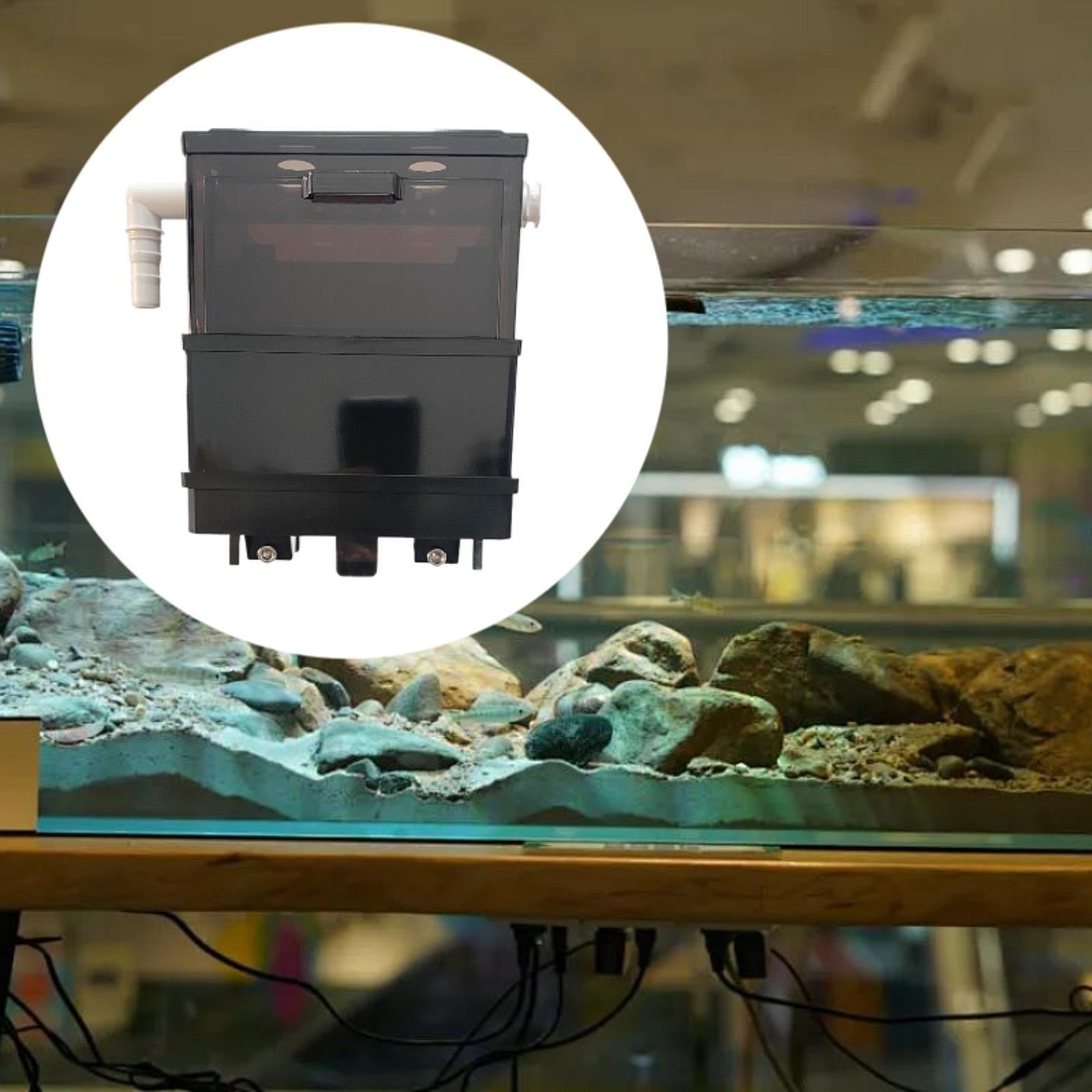 DOLITY Overflow Box for Aquariums External Quiet Aquarium Box ...