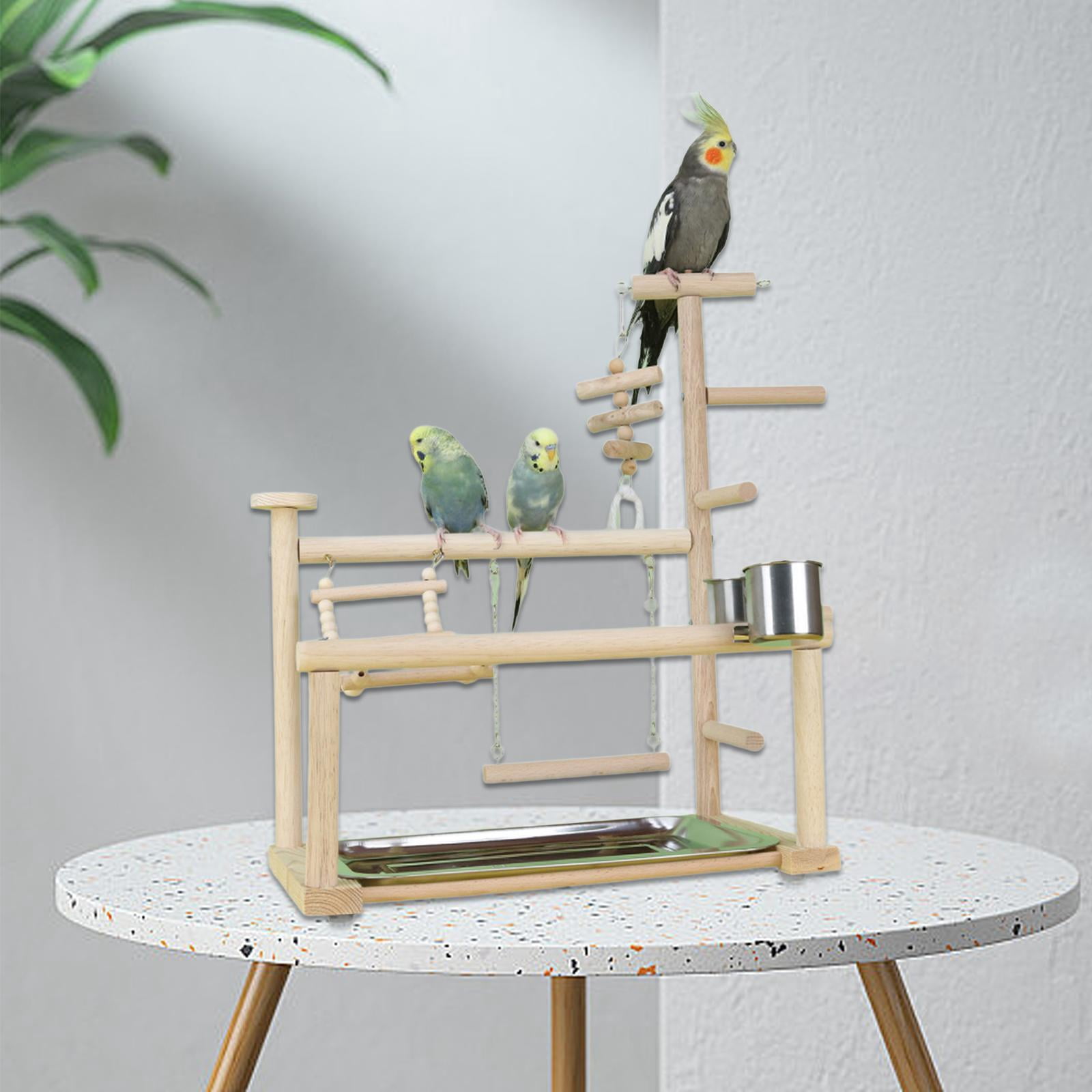 DOLITY Solid Wood Parrot Playground Bird Playground Parakeet Parrot ...
