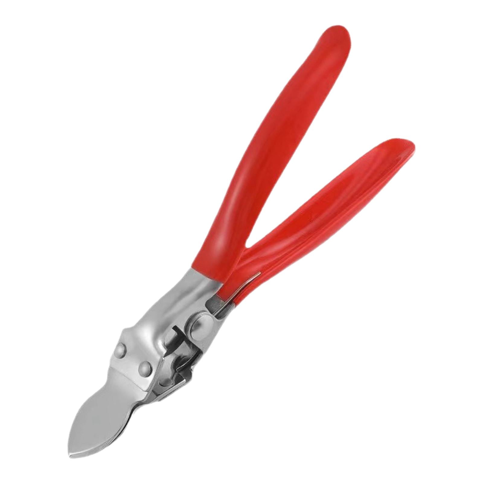 DOMELAY Durian Opener Fruit Durian Shell Opener Clip for Fruits Shop ...