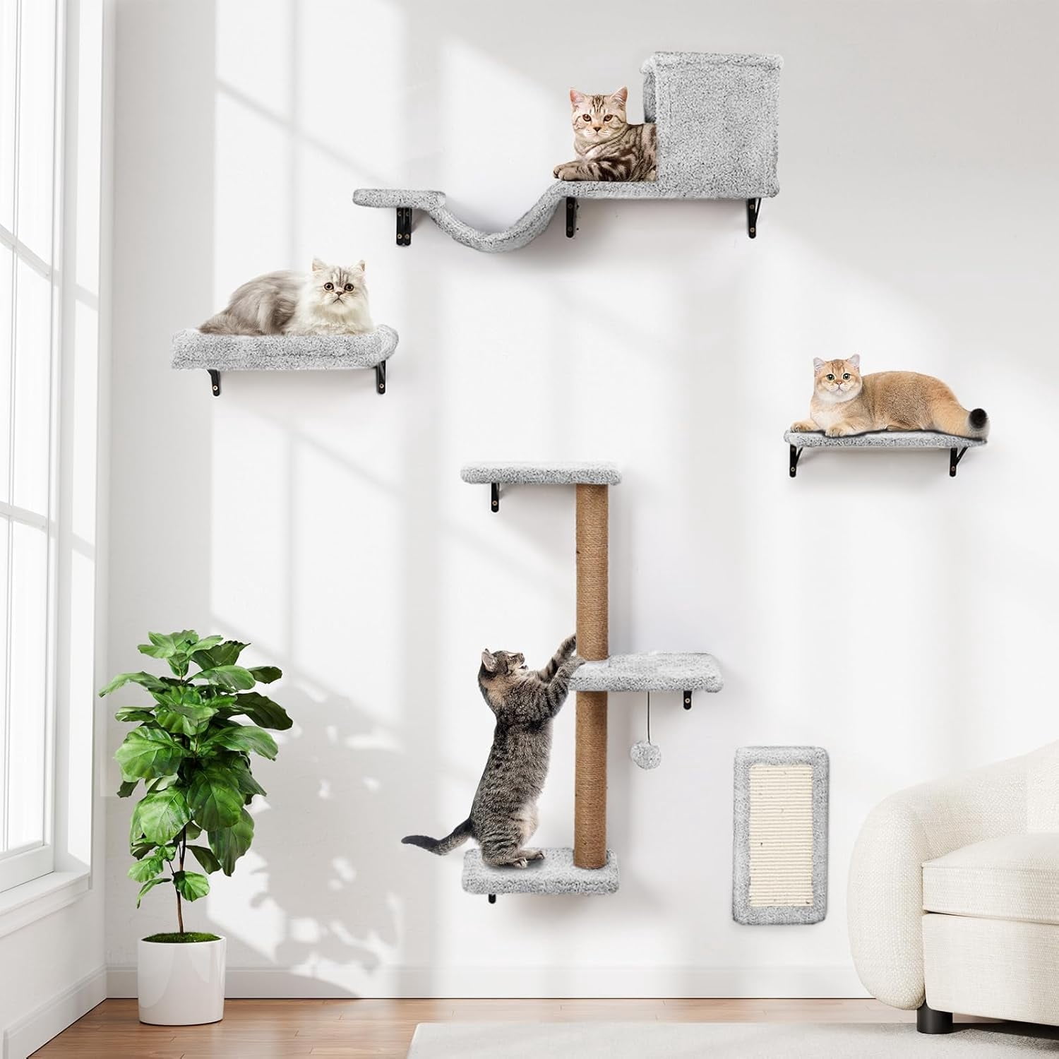 DOMIPET Cat Wall Mounts Shelves Perches Set, Includes Jump Platforms ...