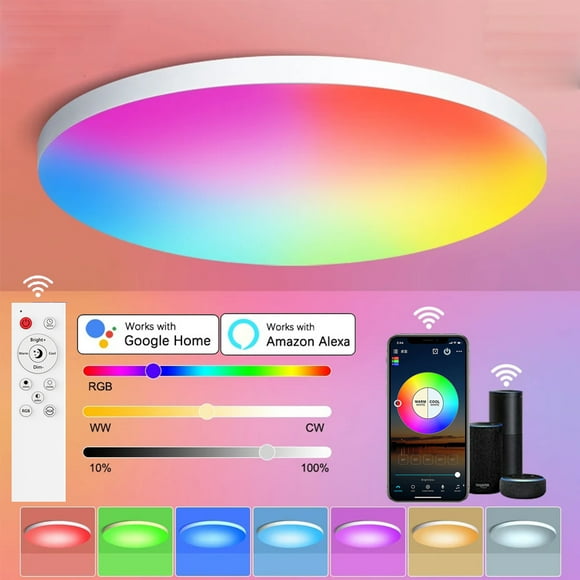 Remote Controlled Ceiling Light Fixture