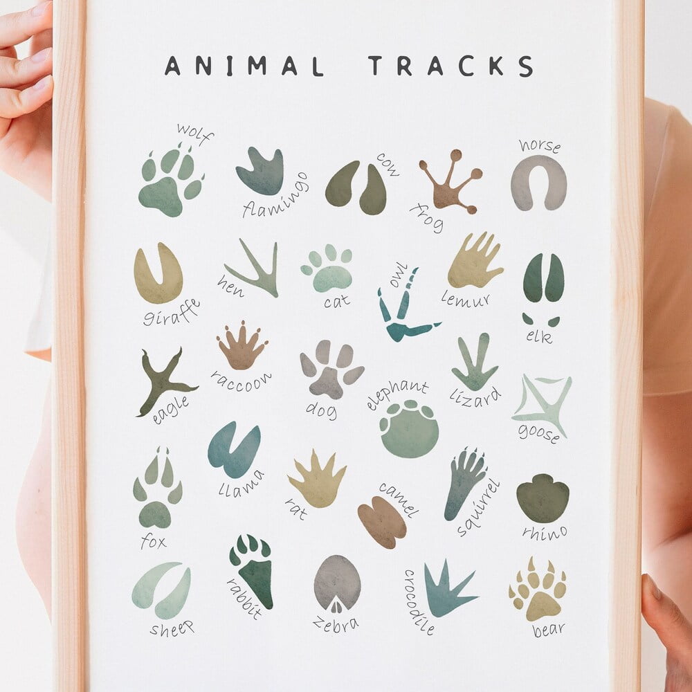 DOPAPRINT Animal Tracks Poster, Earth Tones Nursery Wall Decor ...