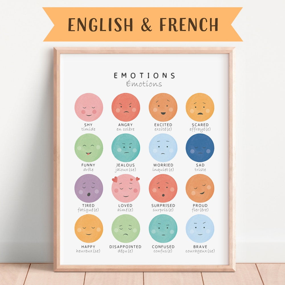 DOPAPRINT Bilingual French Educational Poster, Playroom Educational ...