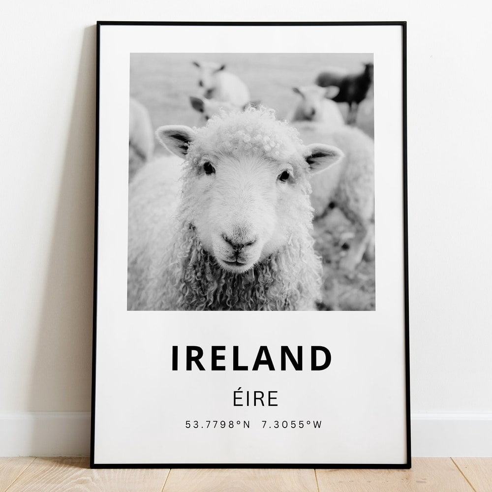 DOPAPRINT Black And White Photography Wall Art, Ireland Print, Irish ...