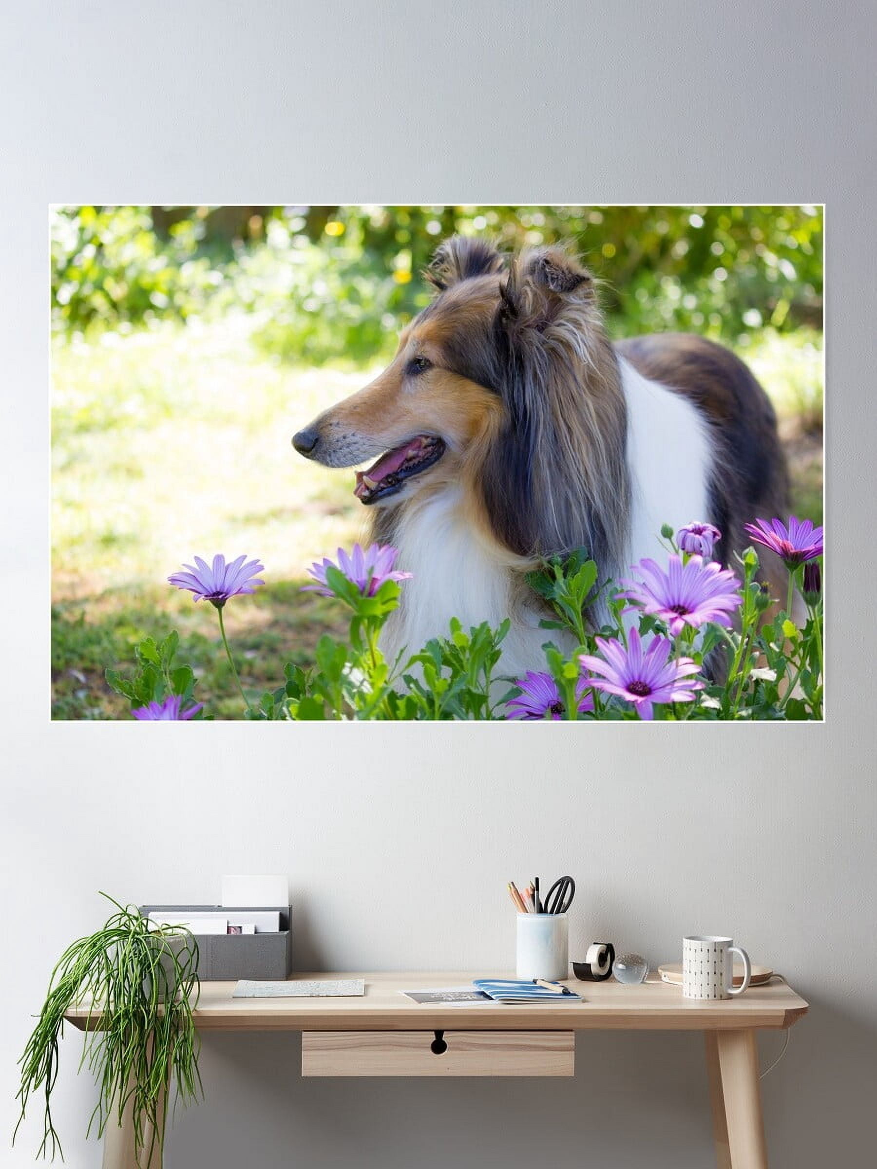 DOPAPRINT Collie In The Garden Poster Wall Art, Modern Wall Decor For ...