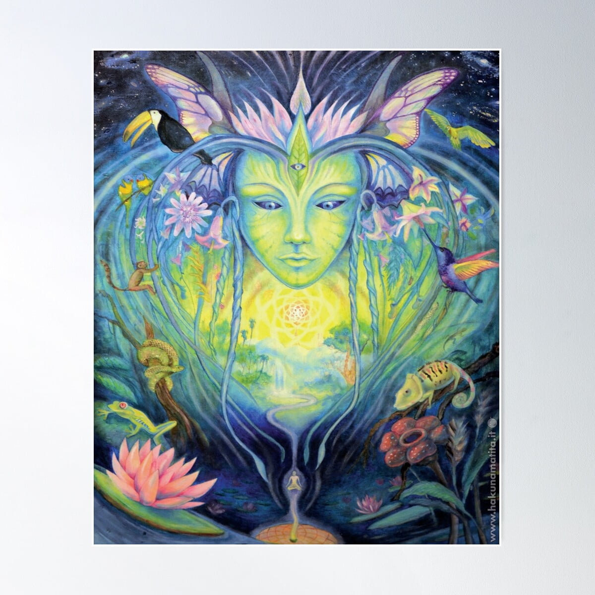 DOPAPRINT Curandera Poster Wall Art, Modern Wall Decor NO FRAMED POSTER ...