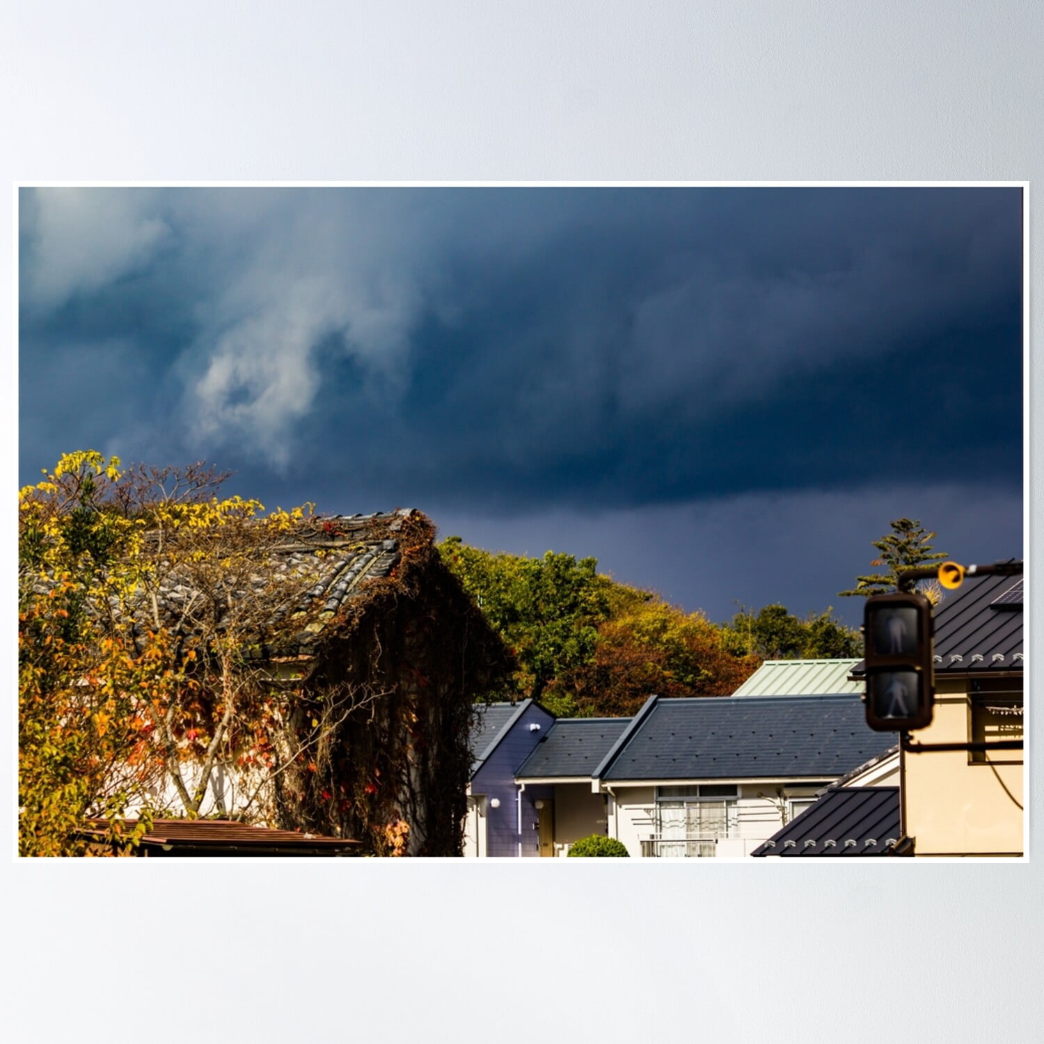 DOPAPRINT Dark Clouds Over An Overgrown Roof Poster Wall Art, Modern ...