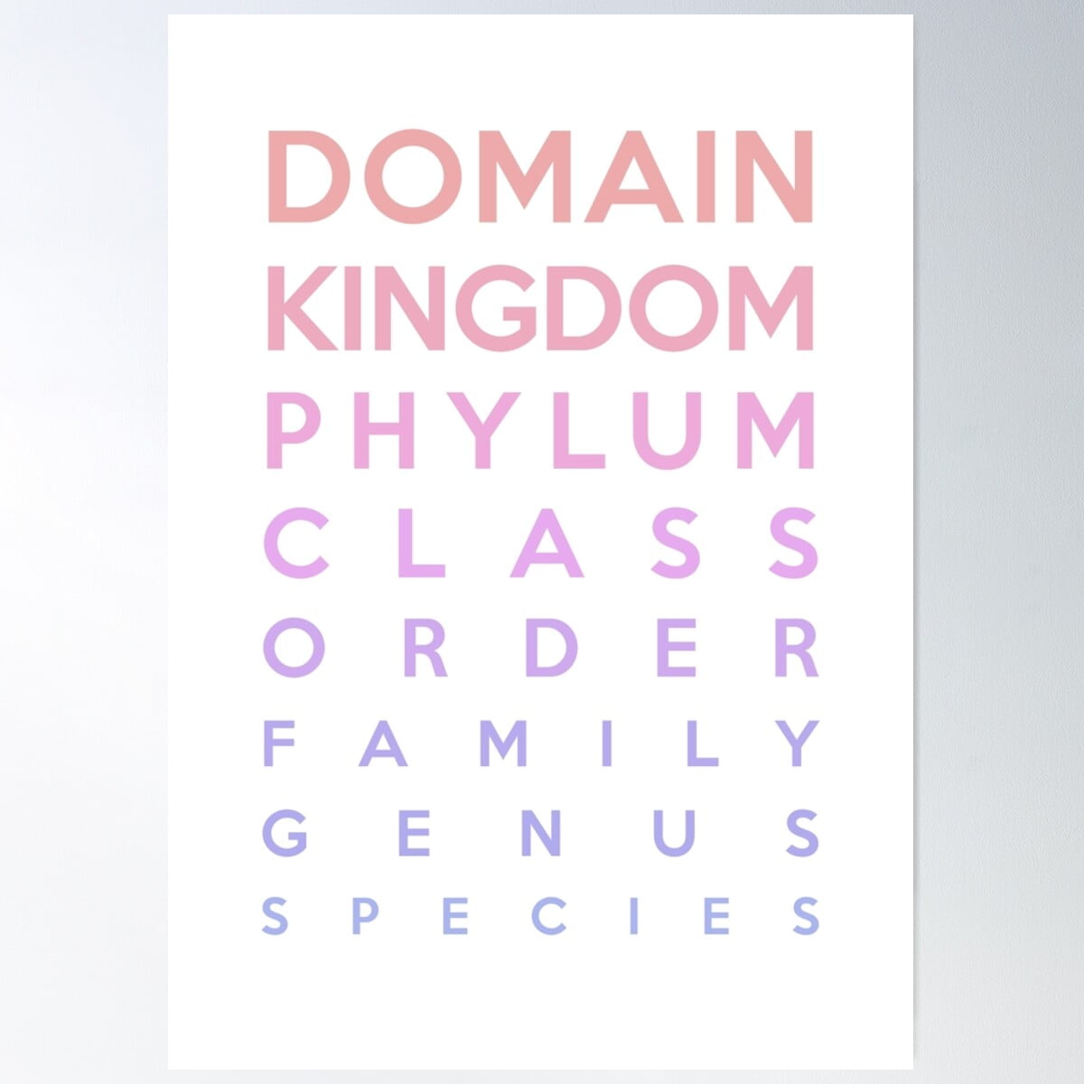 DOPAPRINT Domain, Kingdom, Phylum, Class, Family, Genus, Species Poster ...