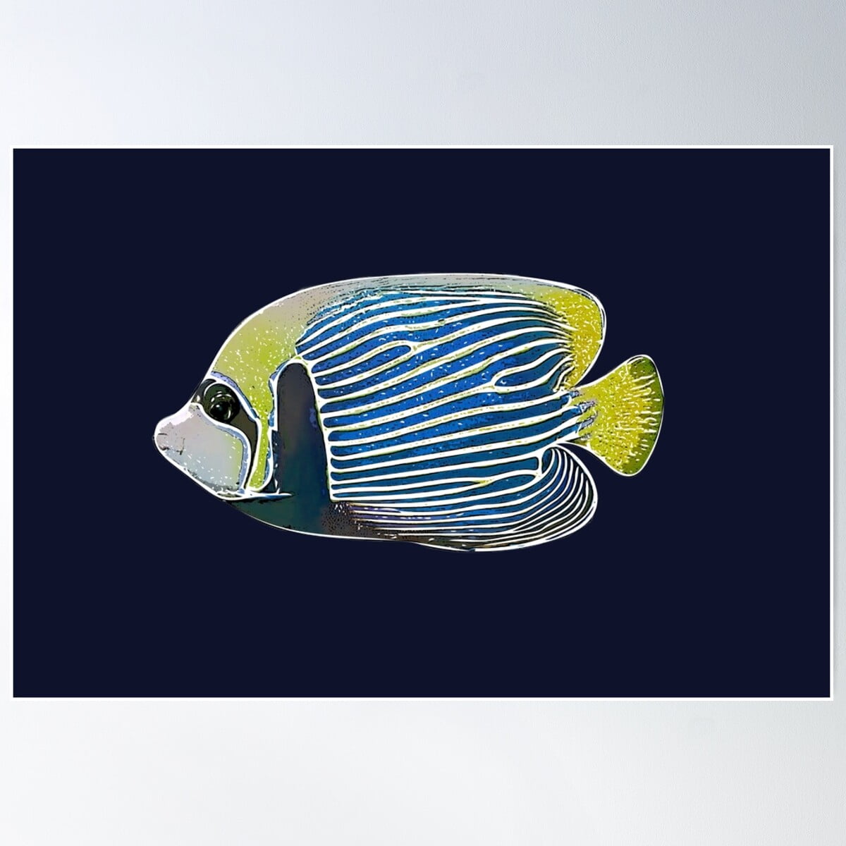 DOPAPRINT Emperor Angelfish White Alternate Design Poster Wall Art ...