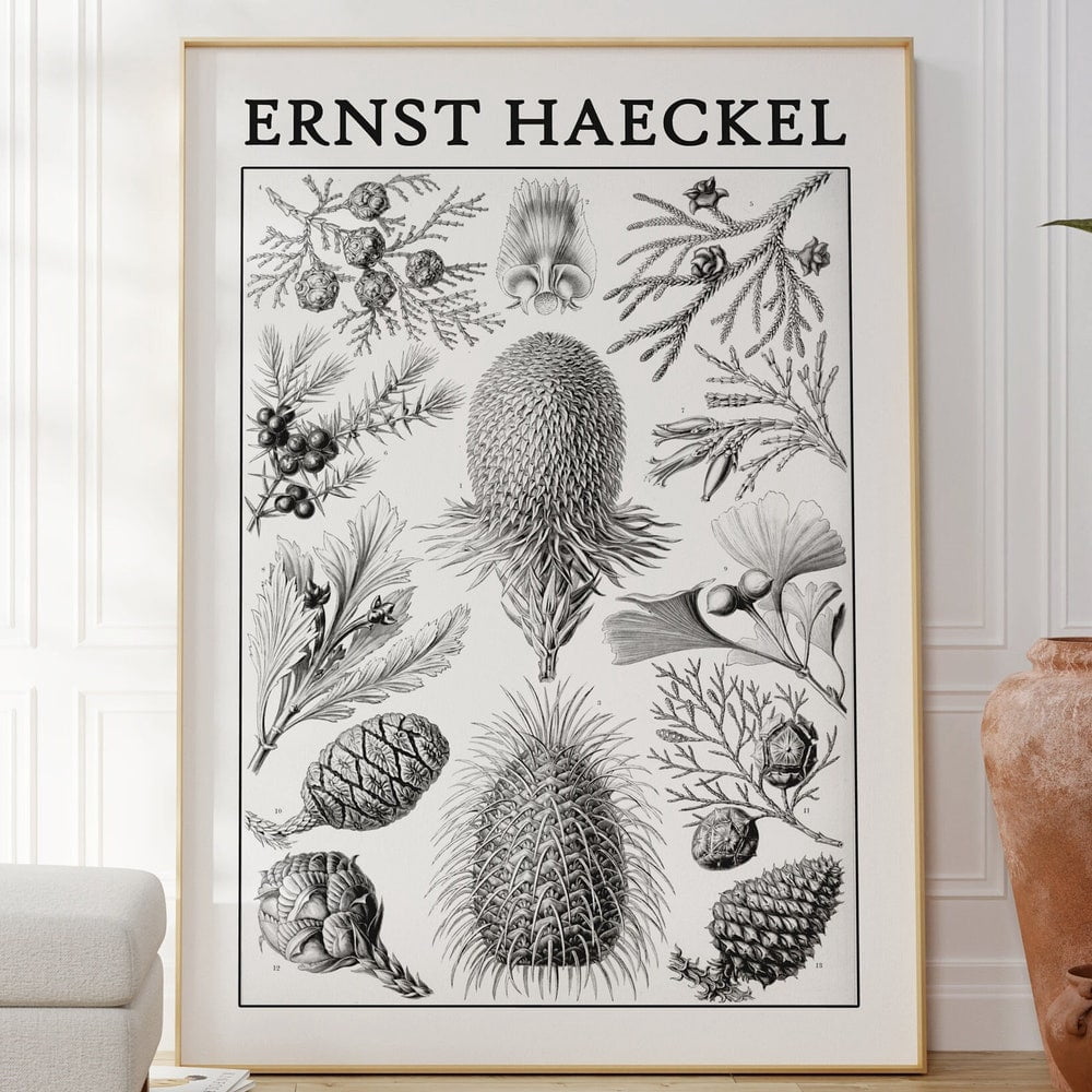 DOPAPRINT Ernst Haeckel Poster - Scientific poster as Ernst Haeckel ...