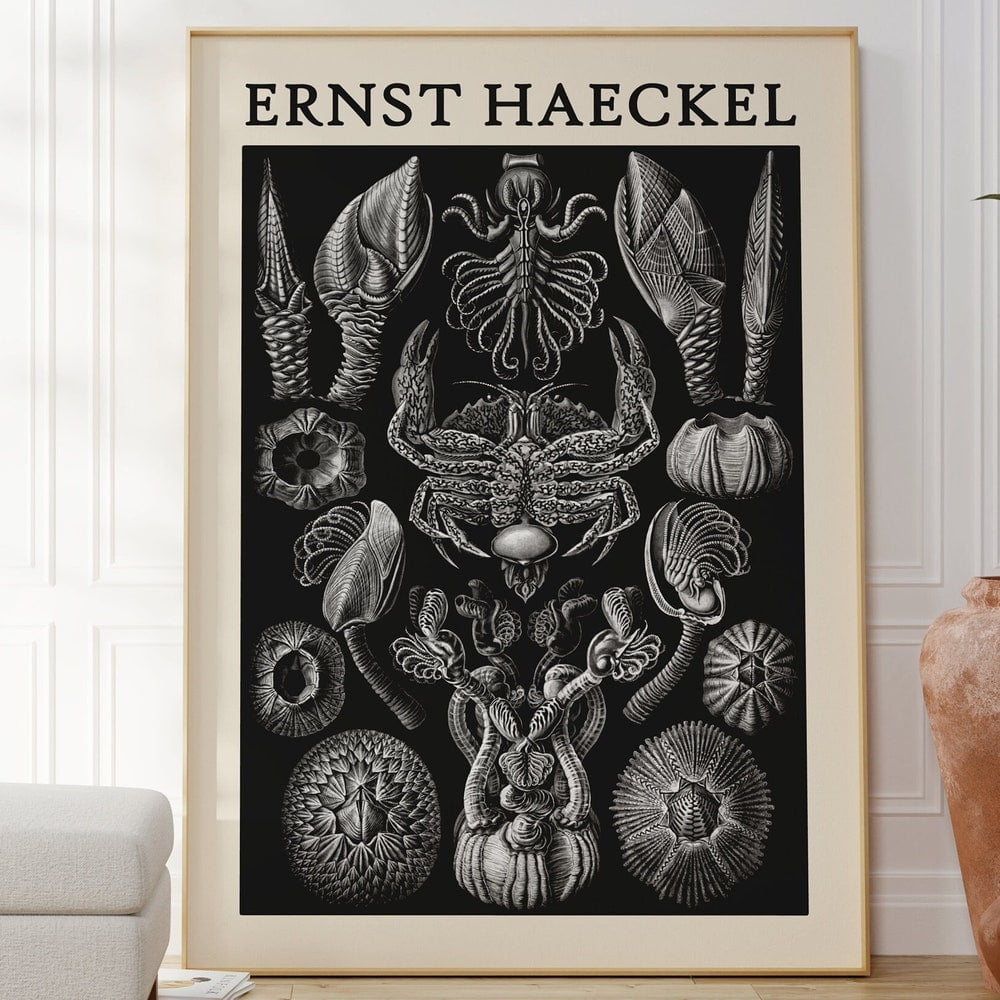 DOPAPRINT Ernst Haeckel Poster - Scientific poster as Ernst Haeckel ...