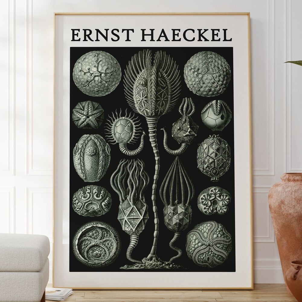 DOPAPRINT Ernst Haeckel Poster - Scientific poster as Ernst Haeckel ...