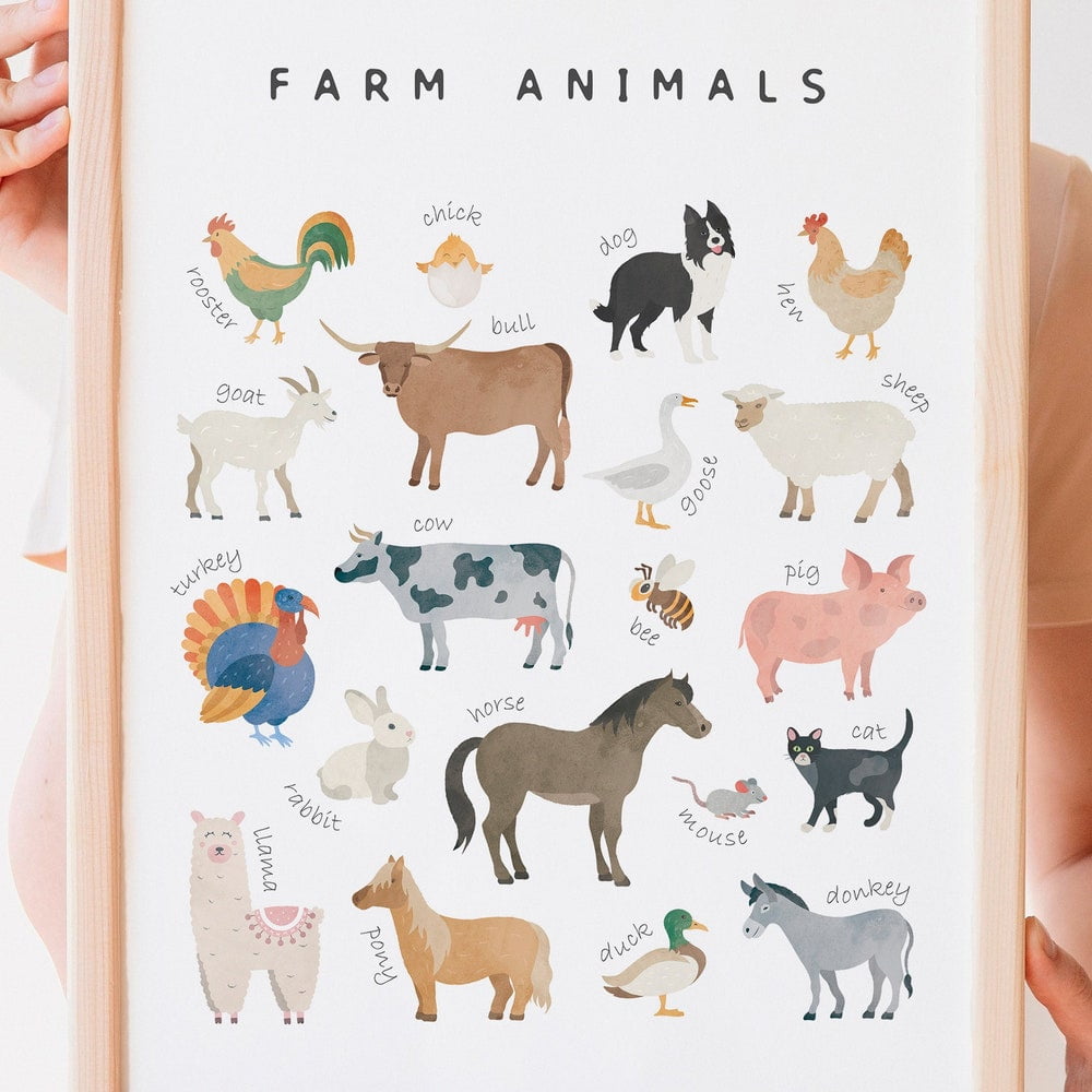 DOPAPRINT Farm Animals Poster, Educational Poster, Nursery Wall Decor ...