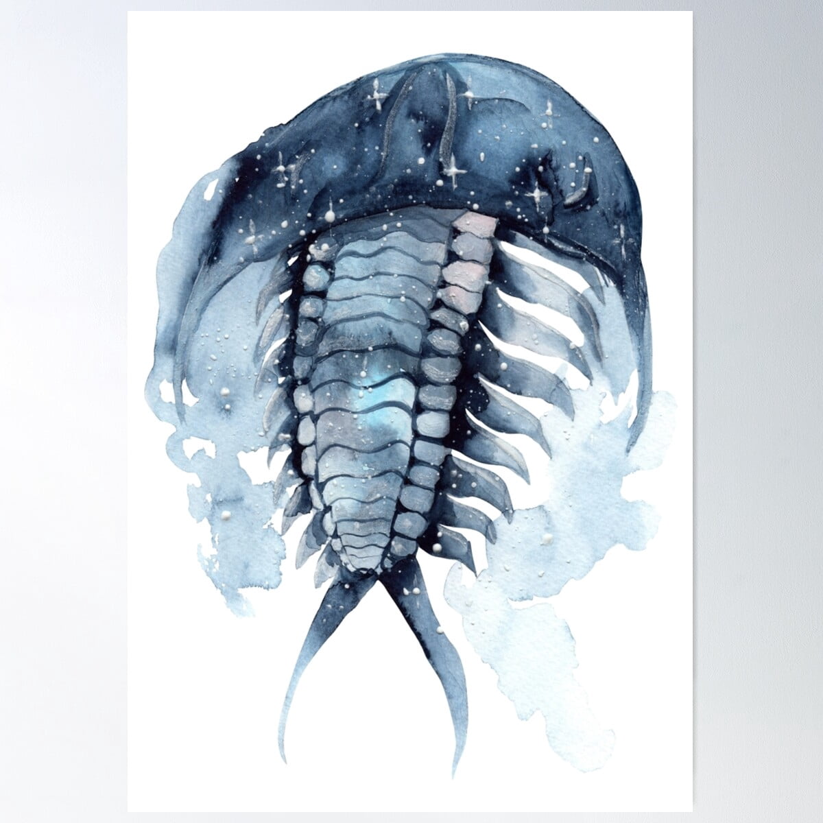 DOPAPRINT Galaxy Trilobite Poster Wall Art, Modern Wall Decor NO FRAMED ...