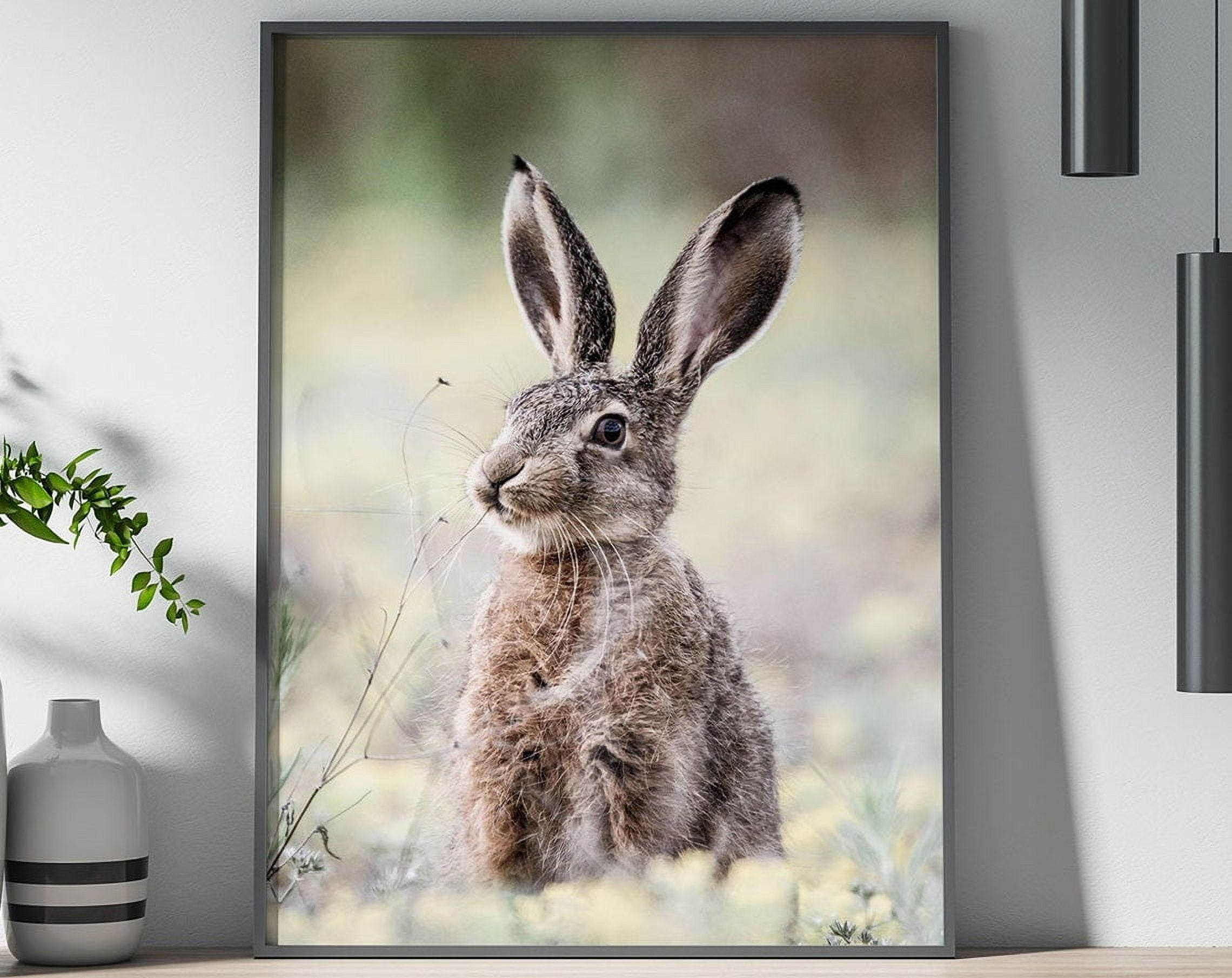 DOPAPRINT Hare Up Close Rabbit Bunny Poster, Poster, Poster Print, Wall ...