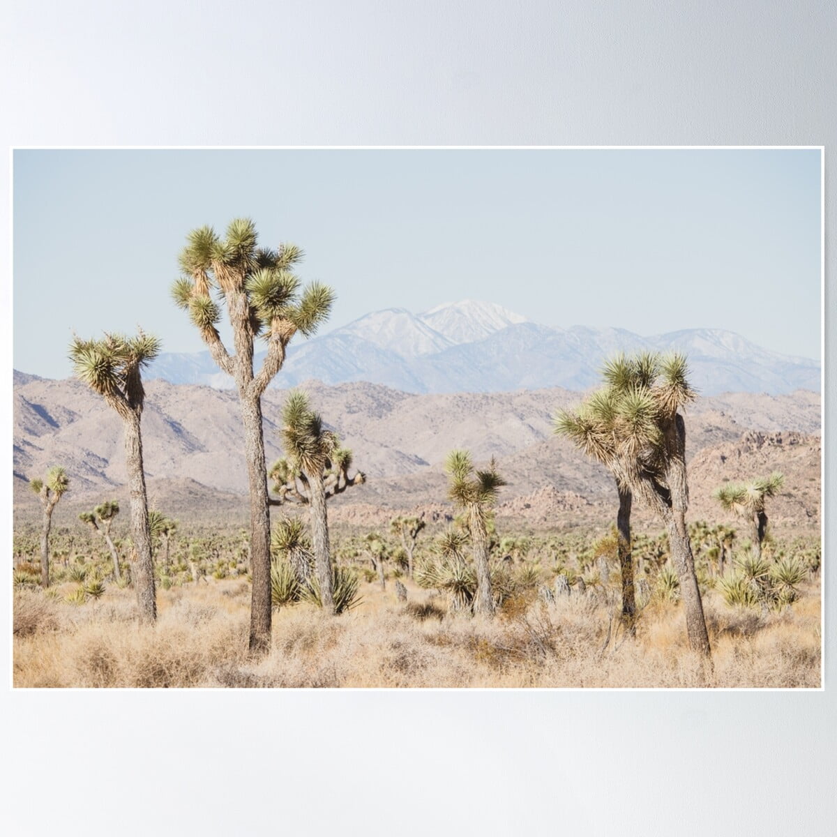DOPAPRINT Joshua Tree Ii Poster Wall Art, Bedroom NO FRAMED POSTER ...