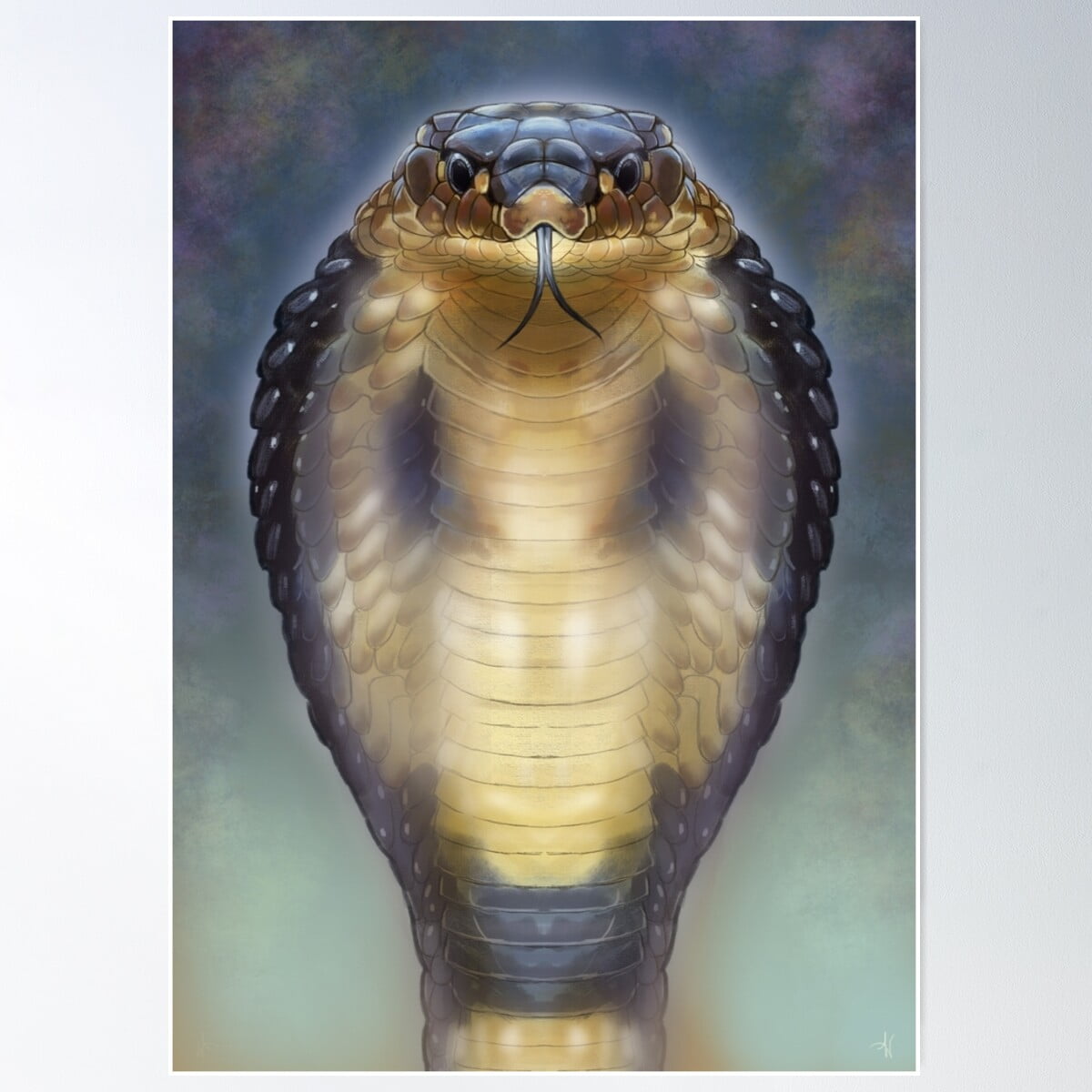 DOPAPRINT King Cobra Poster Wall Art, Modern Wall Decor NO FRAMED ...