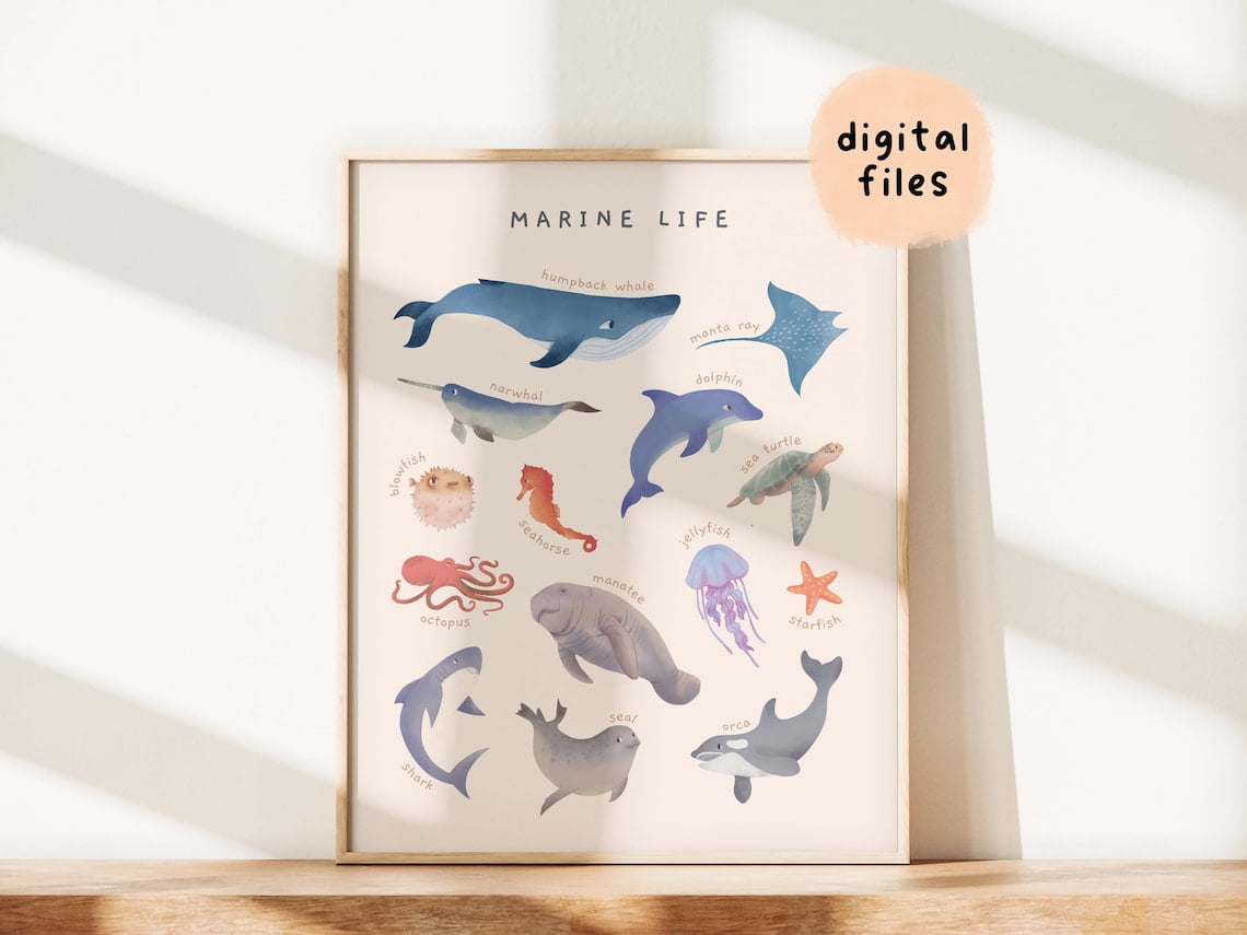 DOPAPRINT Marine Life Educational Poster, Ocean Animals Montessori ...