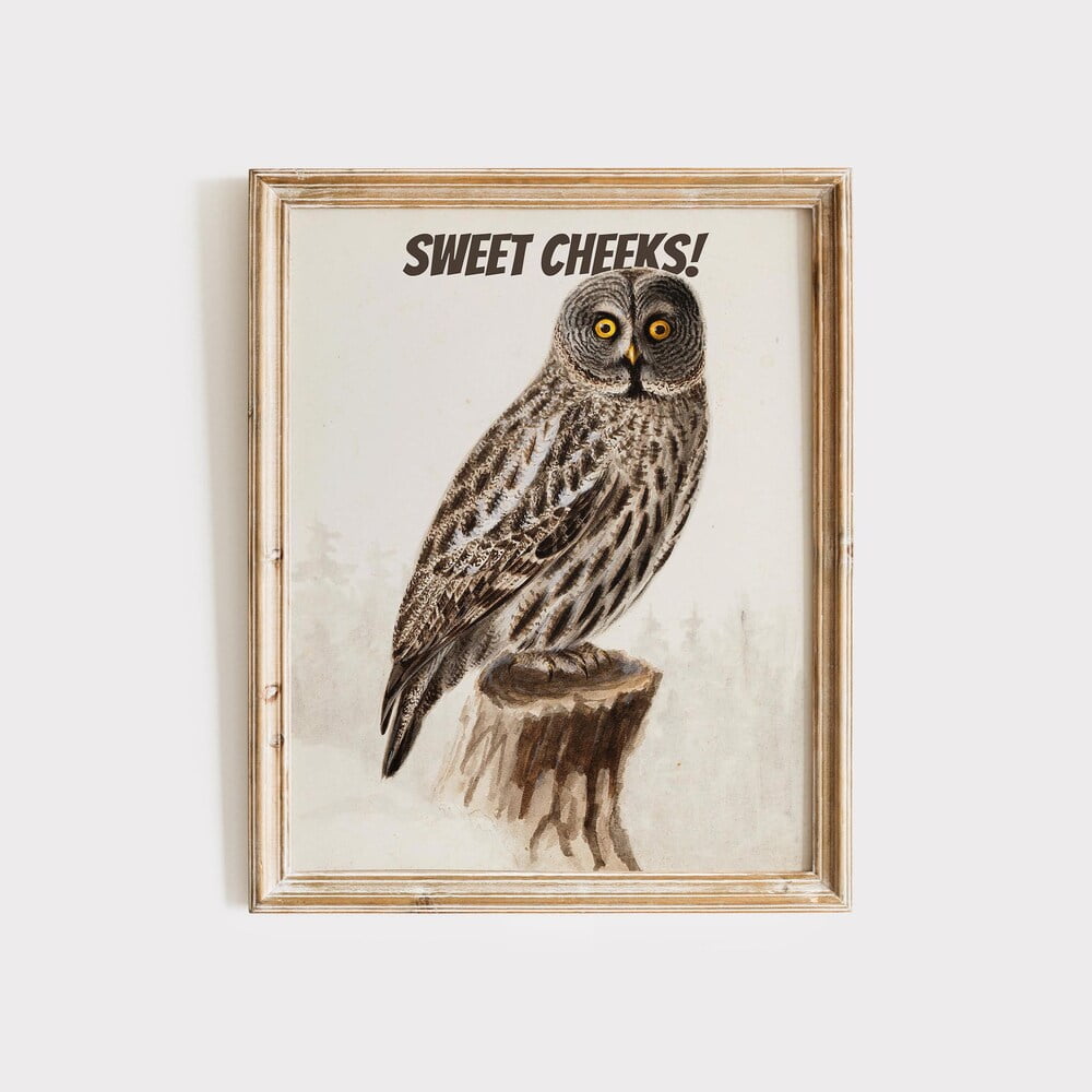 DOPAPRINT Owl Poster - Funny Animal Bathroom Wall Decor, Bird Owl Art Print, Bathroom Wall Art ...