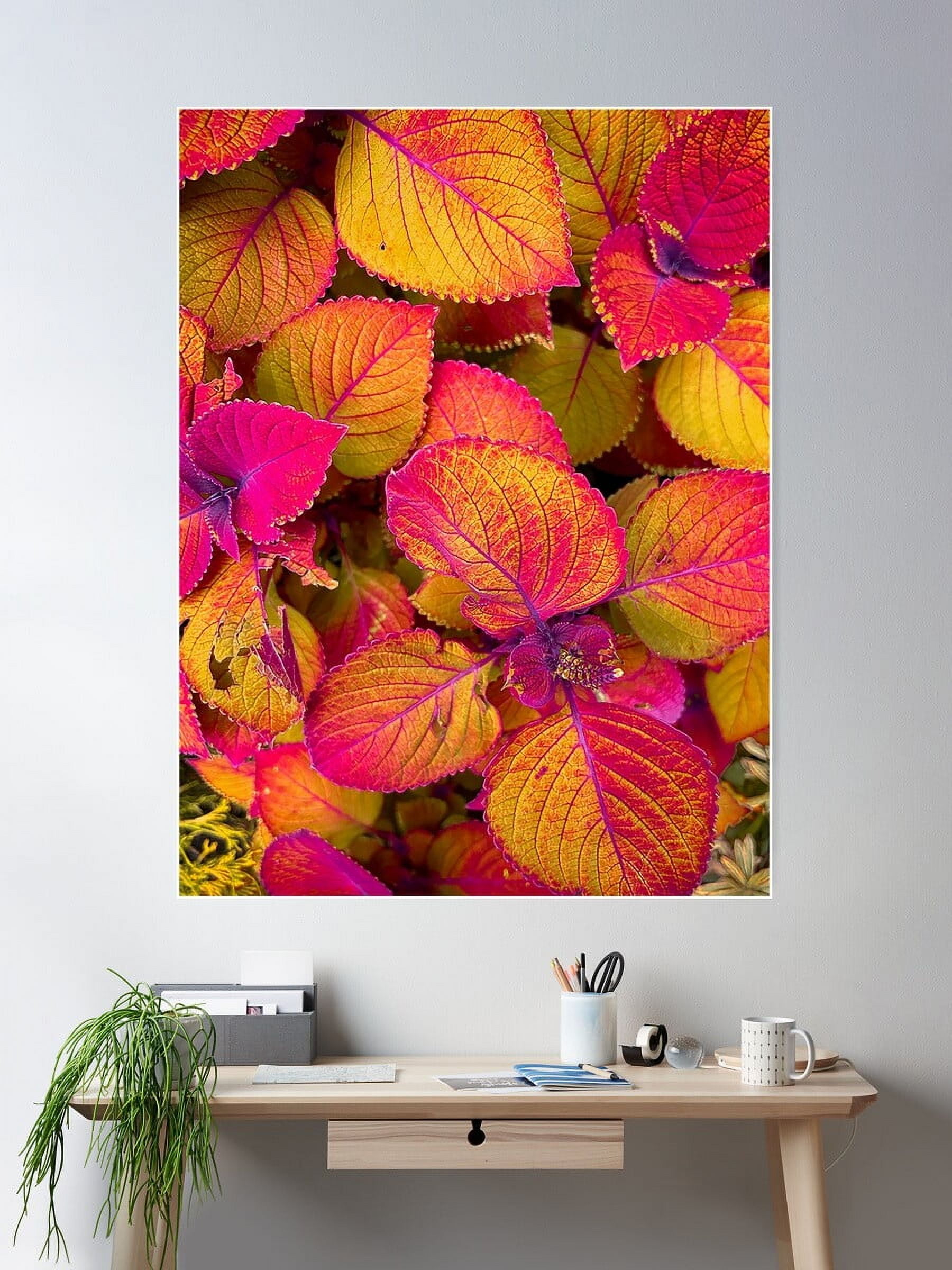DOPAPRINT Painted Nettles Poster Wall Art, Modern Wall Decor NO FRAMED ...