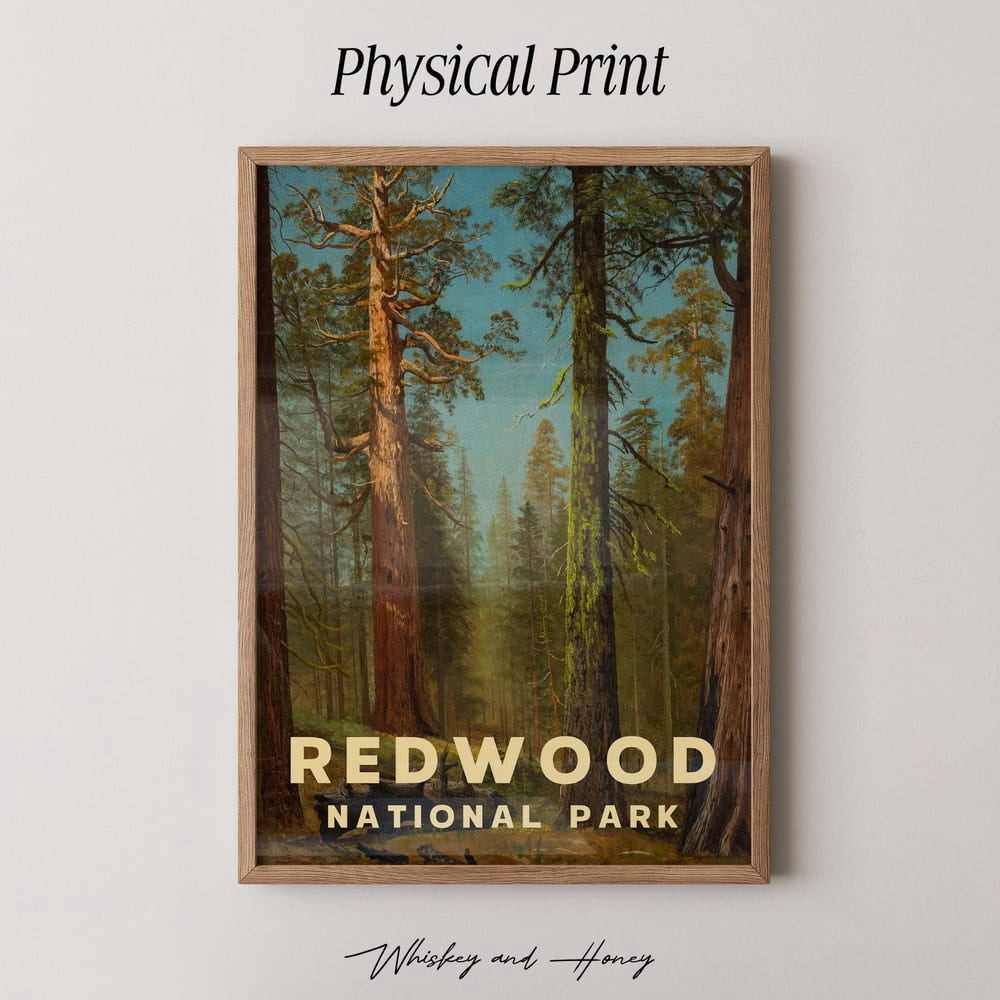 DOPAPRINT Physical Poster, Redwood National Park Art Print, National ...