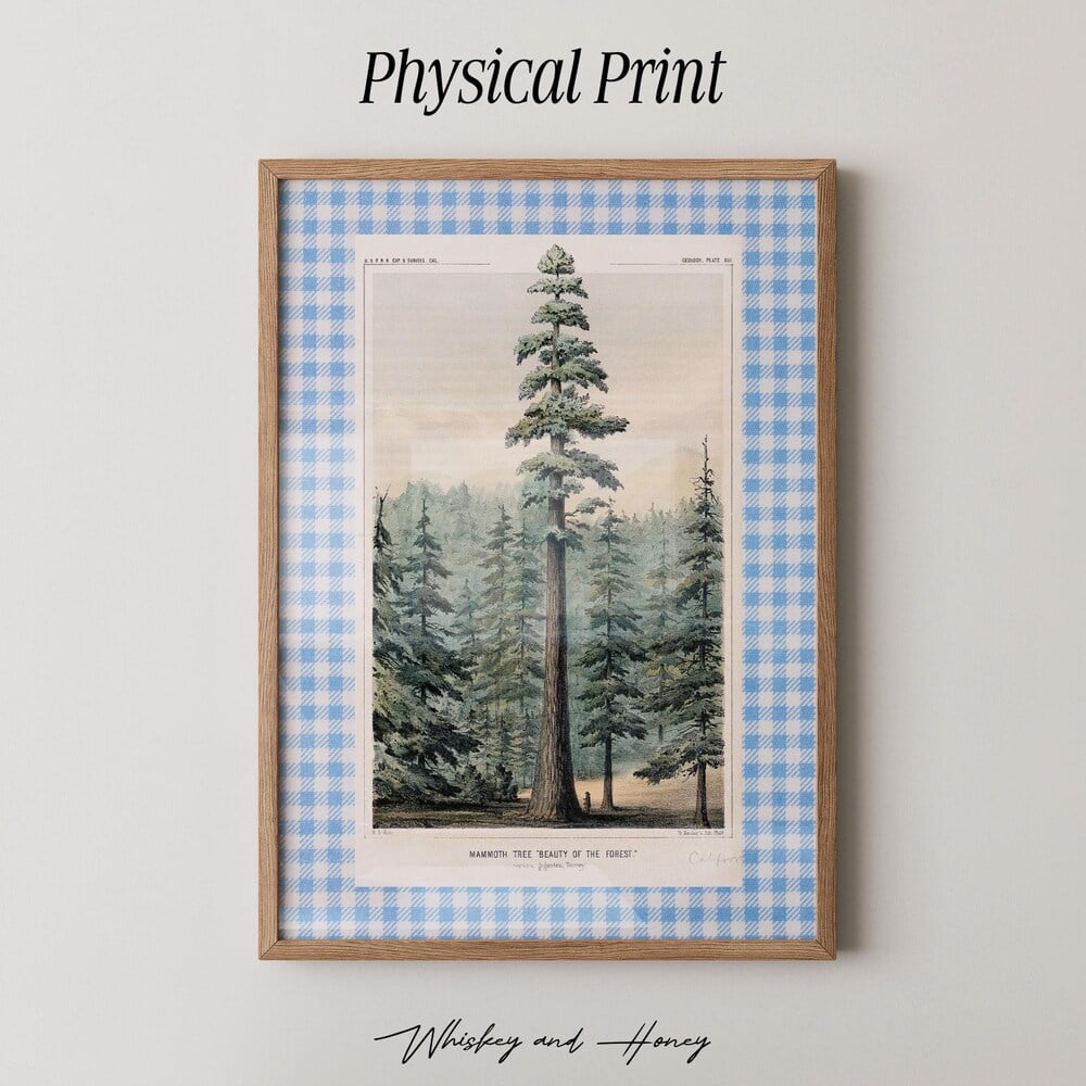 DOPAPRINT Physical Poster, Vintage Pine Tree Art Print, Vintage Wall ...