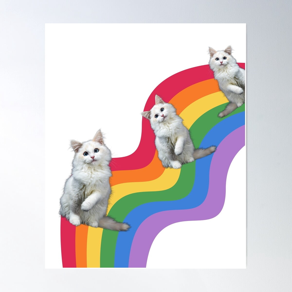 DOPAPRINT Ragdoll Cats Riding A Rainbow Poster Wall Art, Modern Wall ...