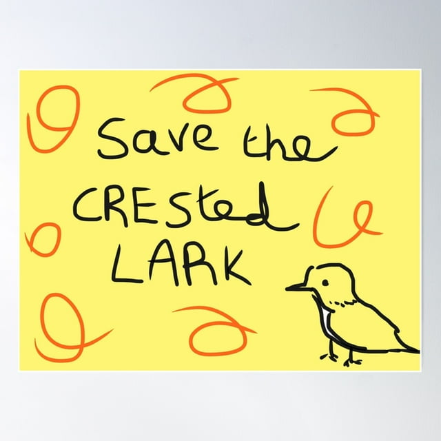 DOPAPRINT Save The Crested Lark Poster Wall Art, Bedroom NO FRAMED ...