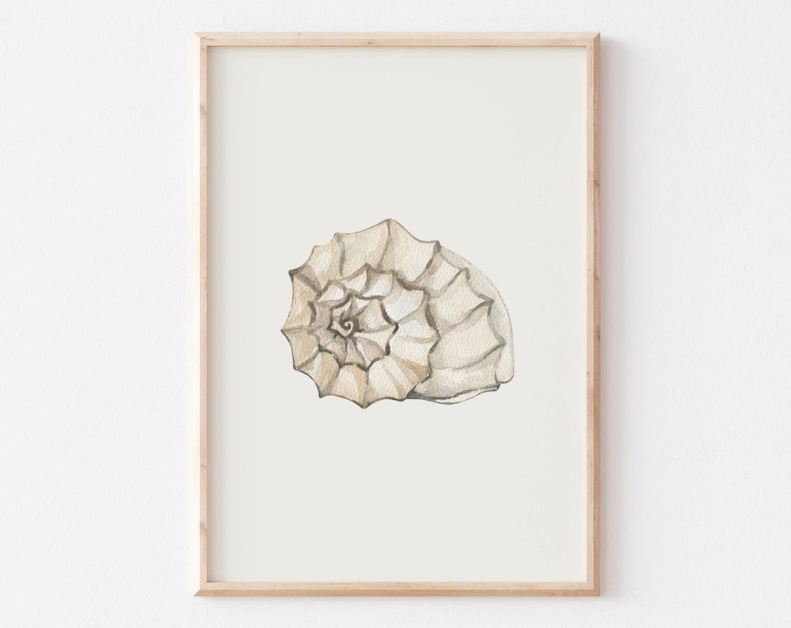 DOPAPRINT Sea Shell Print, Beach Nursery Decor, Watercolor Summer S ...