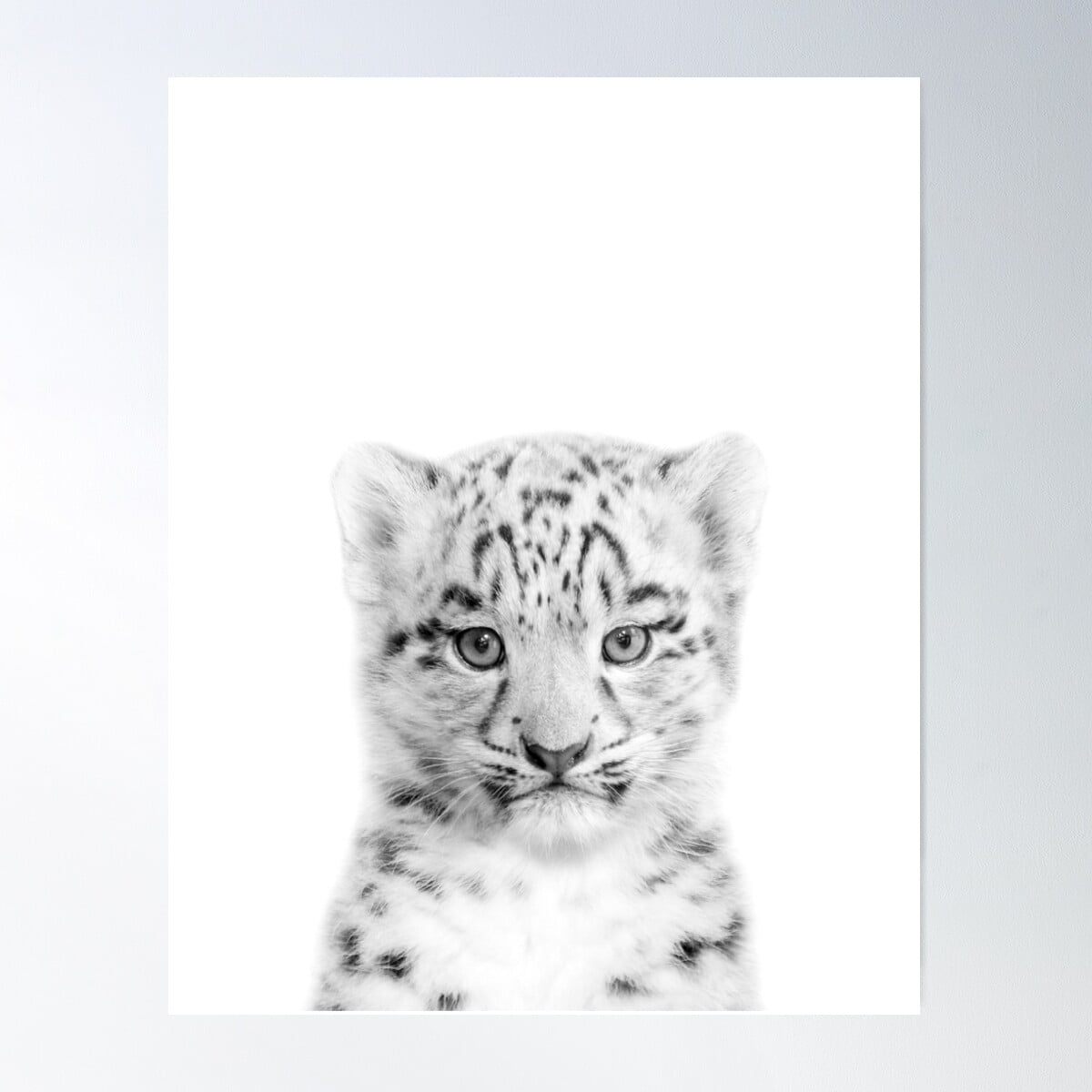 DOPAPRINT Snow Leo.pard Black & White Art Print By Zouzounio Art Poster ...
