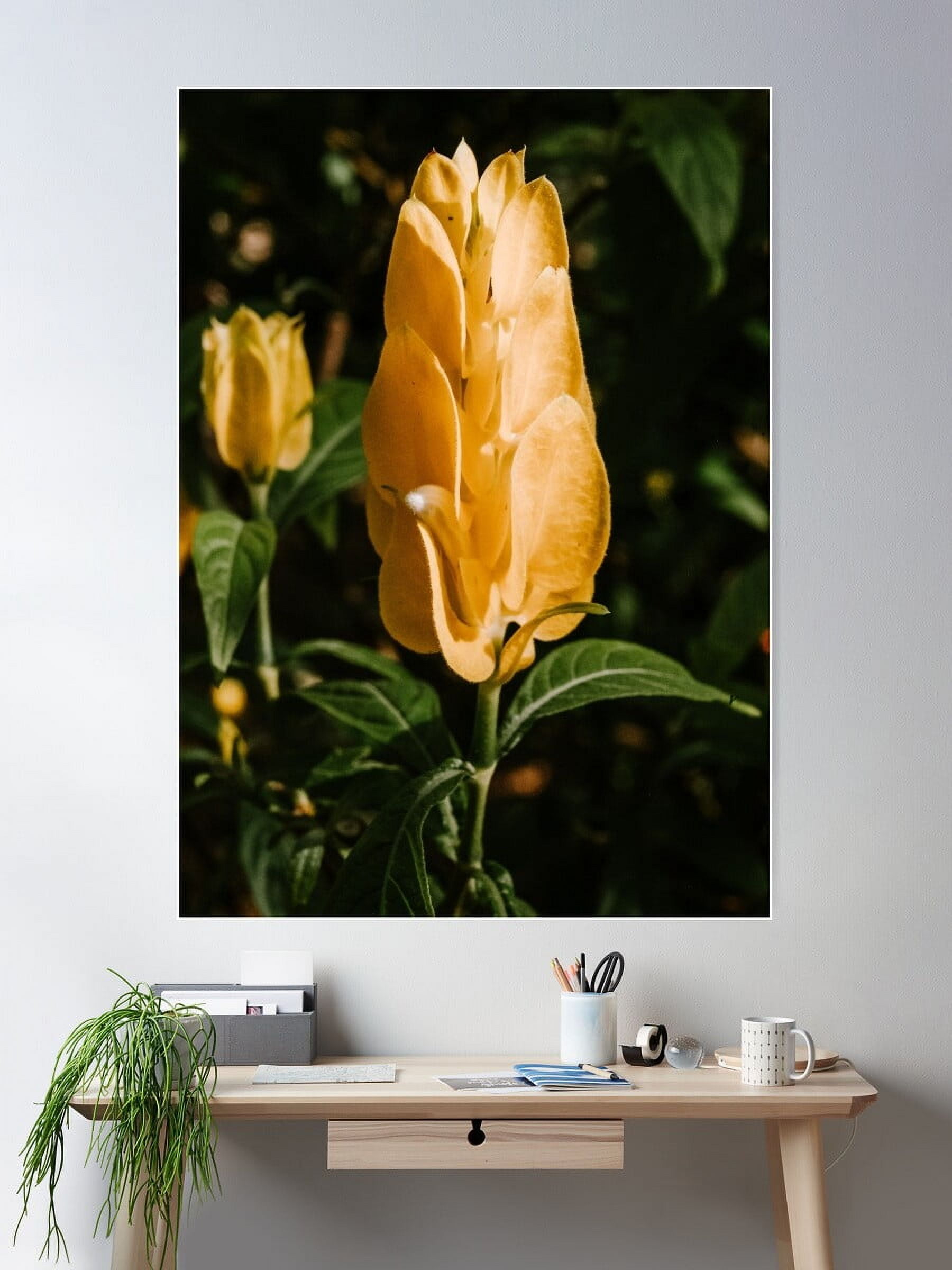 DOPAPRINT Temptation #3 Poster Wall Art, Modern Wall Decor NO FRAMED ...