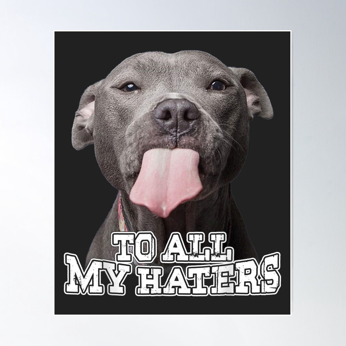 DOPAPRINT To All My Haters Pitbull Dog Poster Wall Art, Modern Wall ...