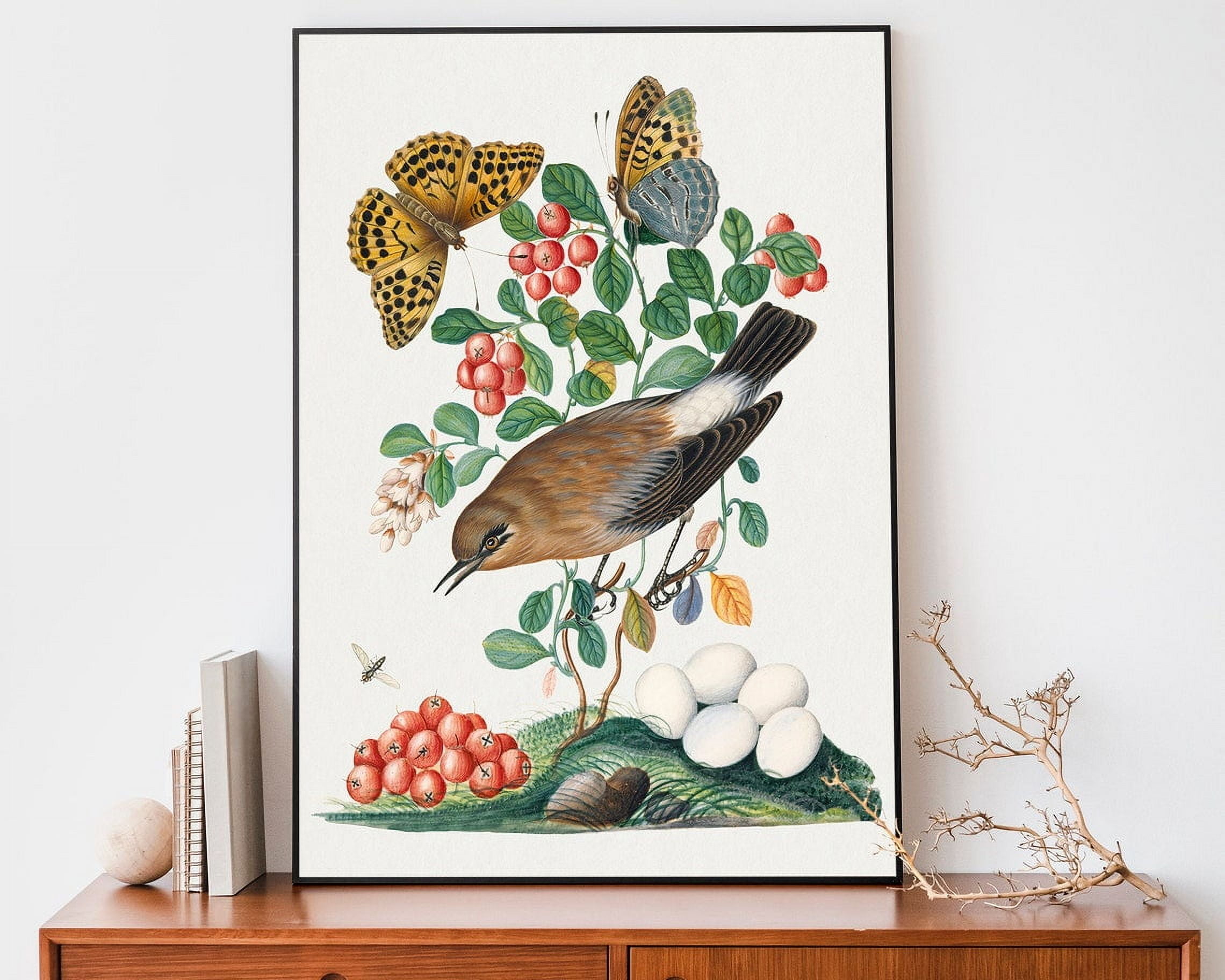 DOPAPRINT Vintage Bird Poster, Bird And Butterfly Illustration Art ...