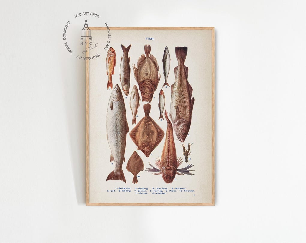 DOPAPRINT Vintage Fish Print, Fish Art, Kitchen Wall Art, Fish Chart ...